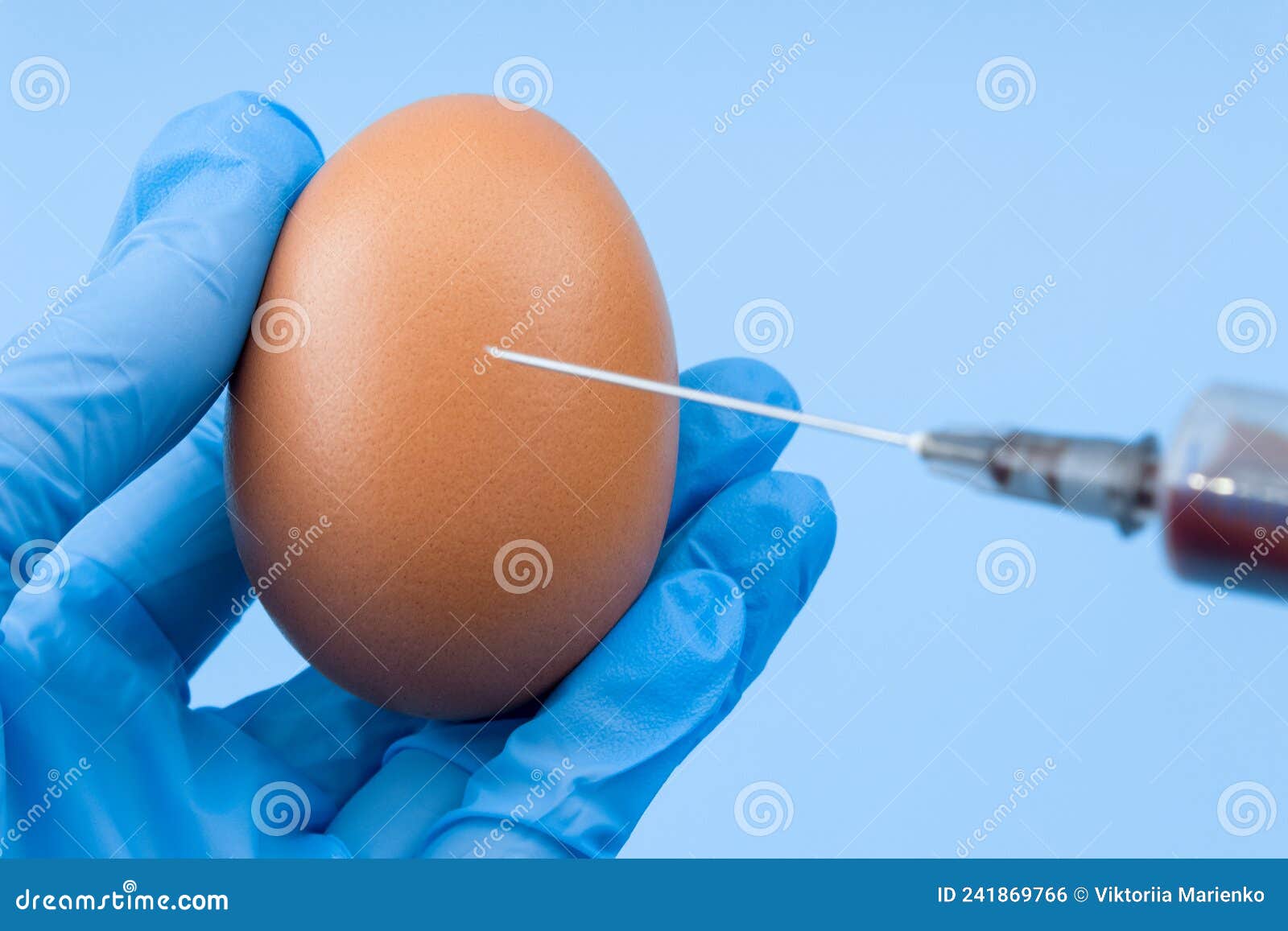 The Scientist Makes an Injection with a Syringe into the Egg Stock ...