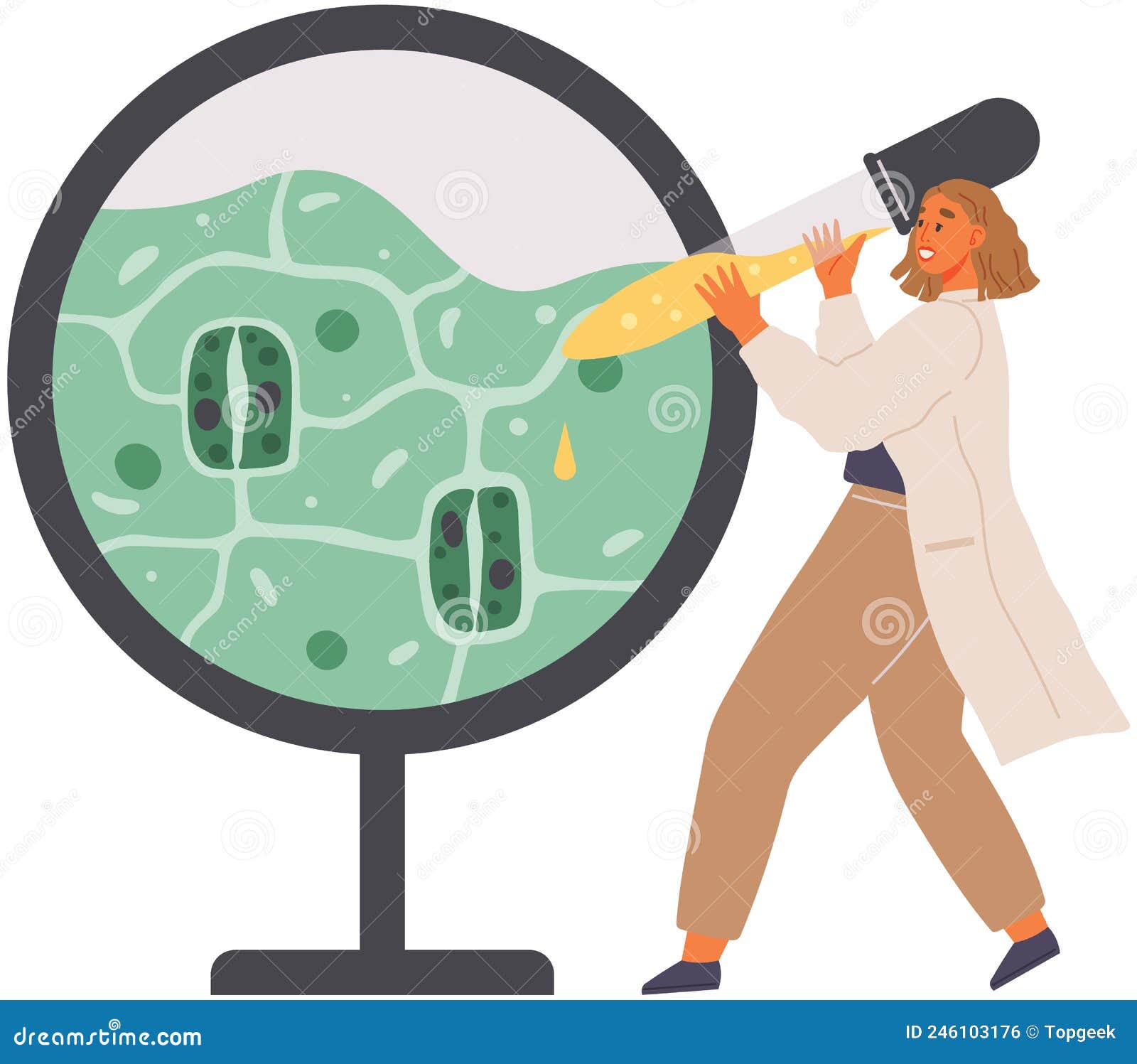 Biologist Studies Plant Cell With Microscope. Biological Research With ...