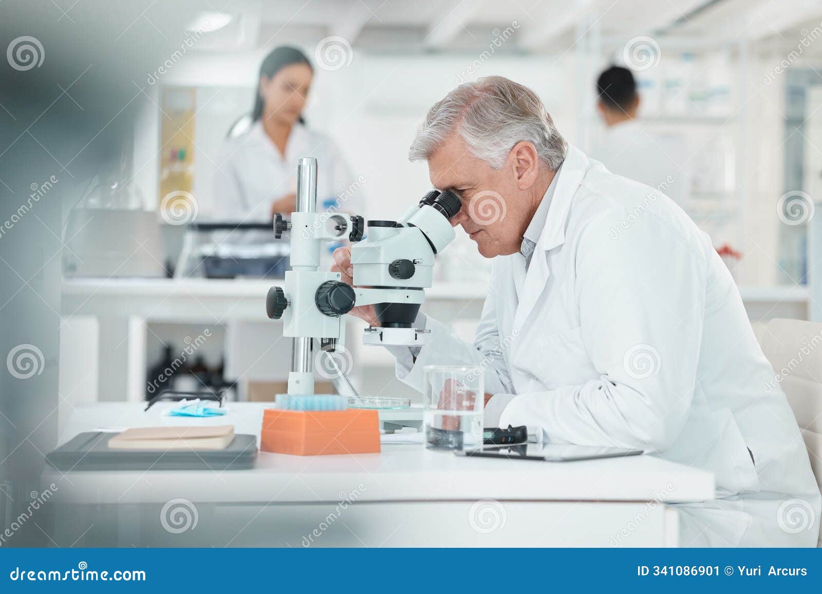 Scientist, Mature Man and Microscope in Lab for Disease Experiment ...