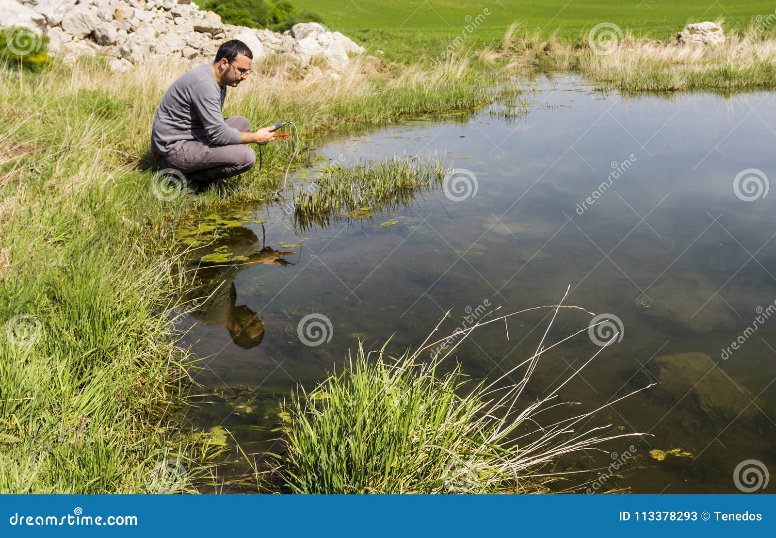 Scientist Measuring Environmental Water Quality in a Wetland Stock ...
