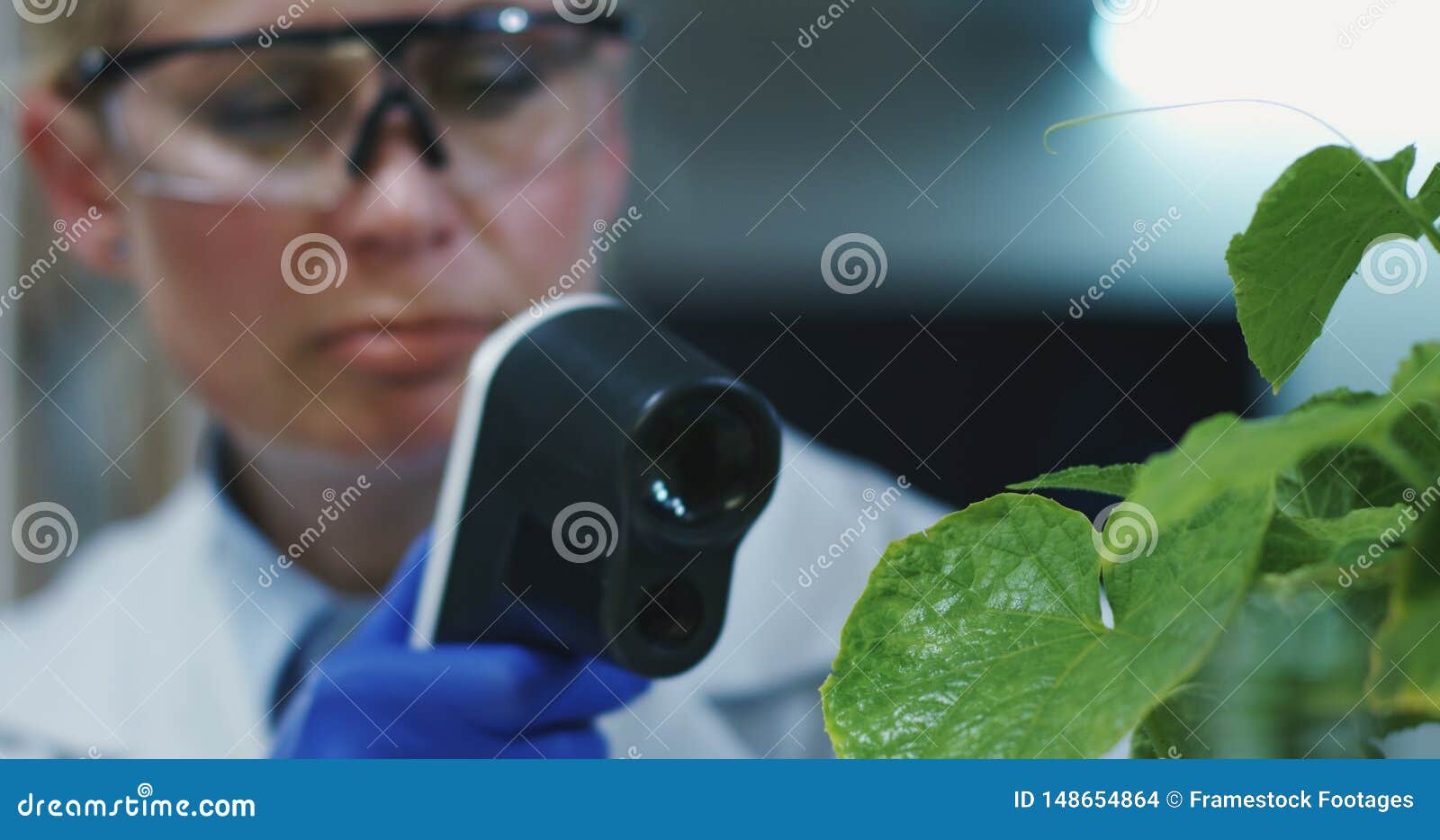 Scientist Measuring Liquid Temperature with Thermometer Stock Photo ...