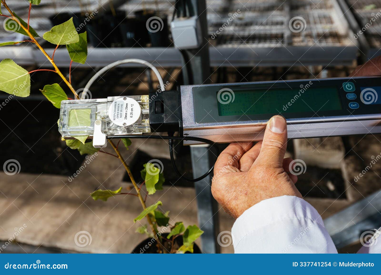 Scientist Measuring Plant Photosynthesis by Using Portable Device in ...