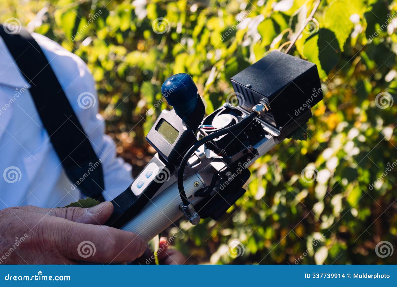 Scientist Measuring Plant Photosynthesis by Using Portable Device in ...