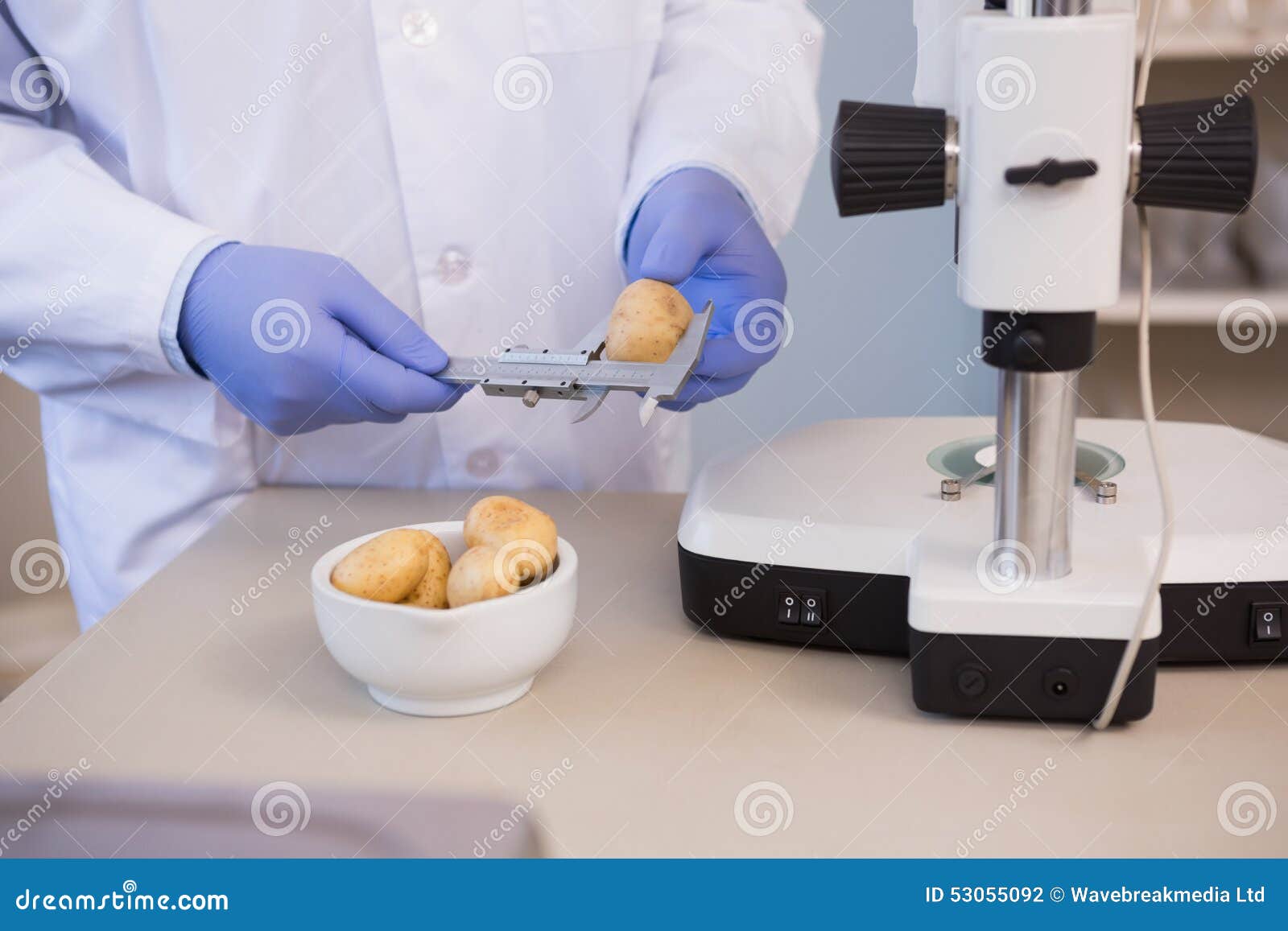 Scientist Measuring Acidity And PH Of Soil At Table. Laboratory ...