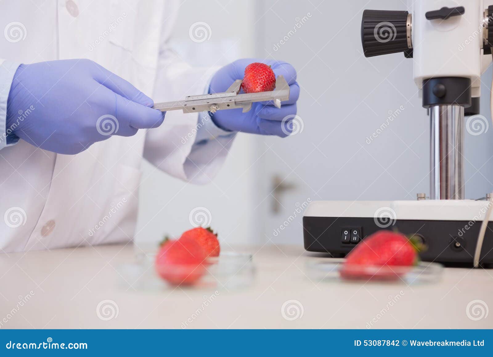 Scientist Measuring Acidity And PH Of Soil At Table. Laboratory ...