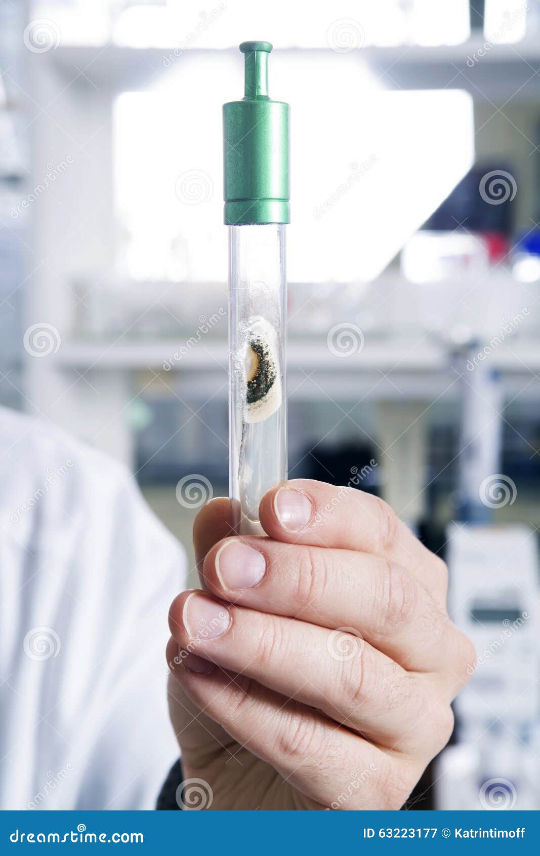 Scientist Observing Test Tube at the Laboratory Stock Image - Image of ...