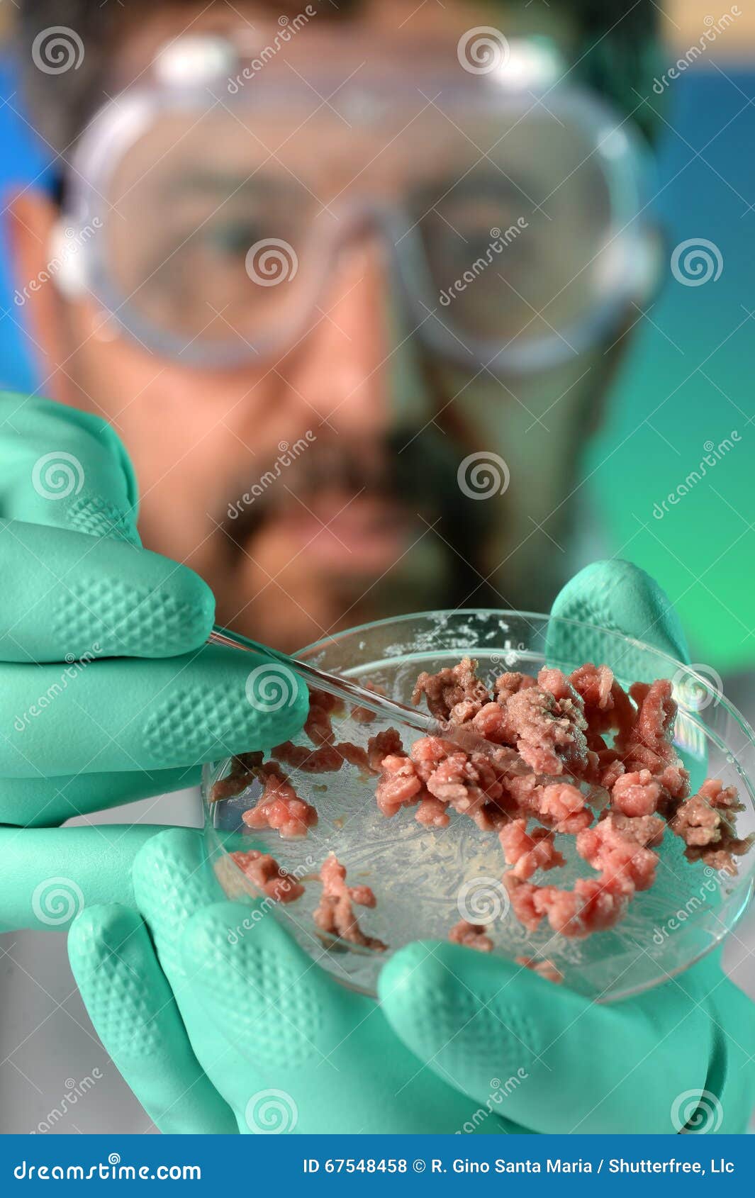 Scientist Performing Test on Meat Stock Photo - Image of transparent ...