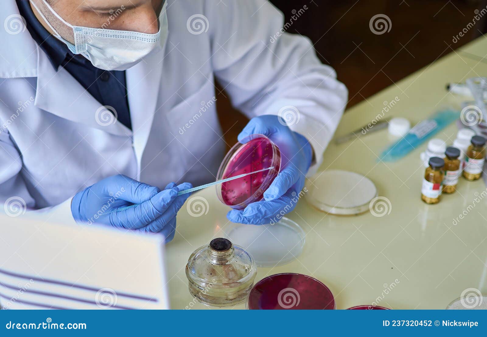 Scientist Pick-up Single Colony of Bacteria from Agar Plate Disposable ...