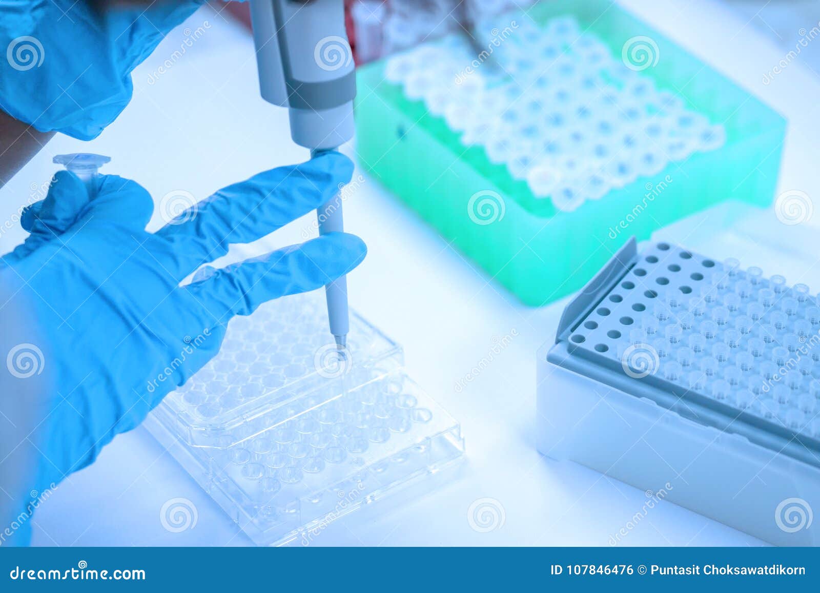 Scientist Use Pipette Drops Chemical Liquid In Test Tube In Laboratory ...