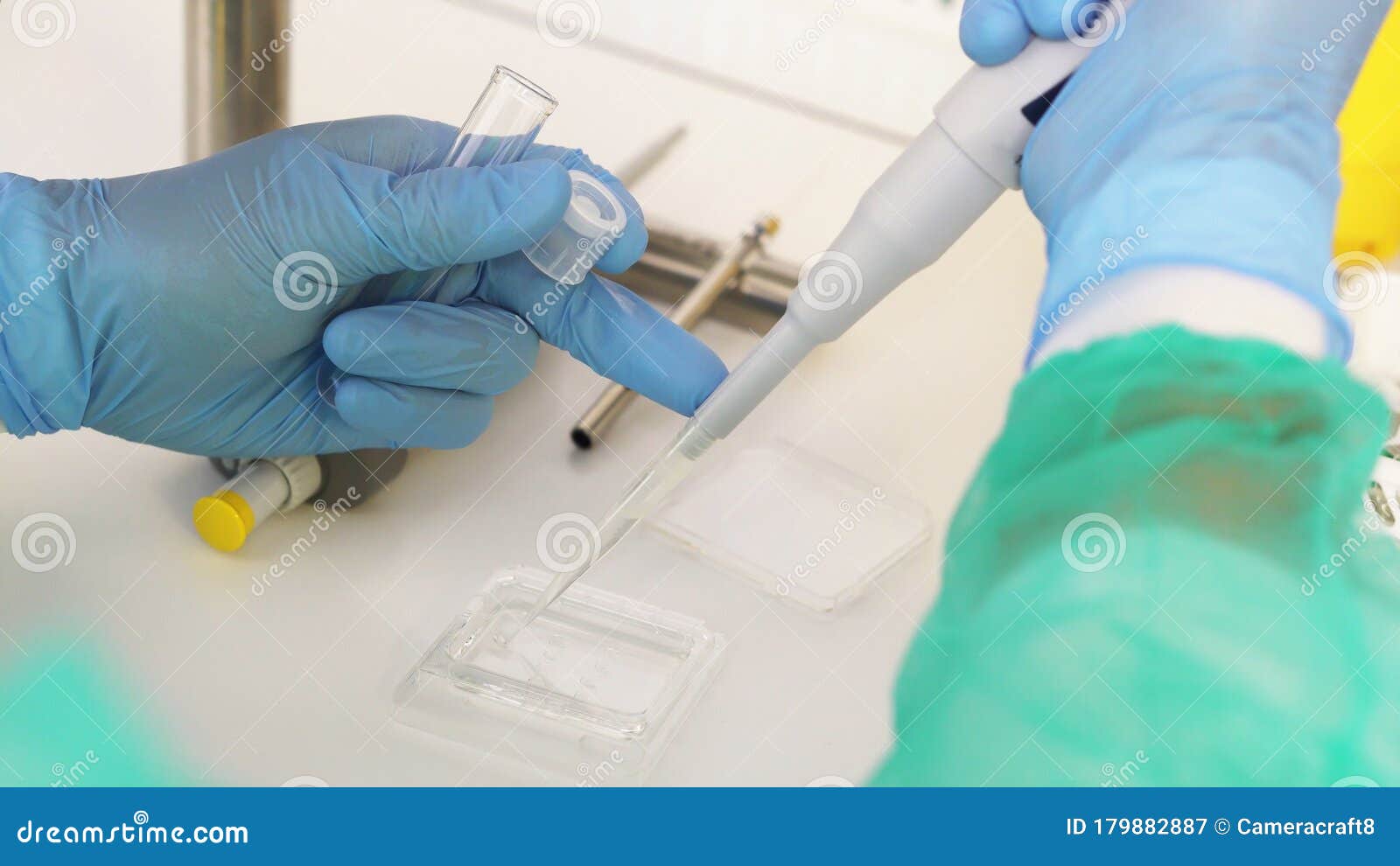 Scientist Pipetting Sample into a Petri Dish for Analytical Testing in ...