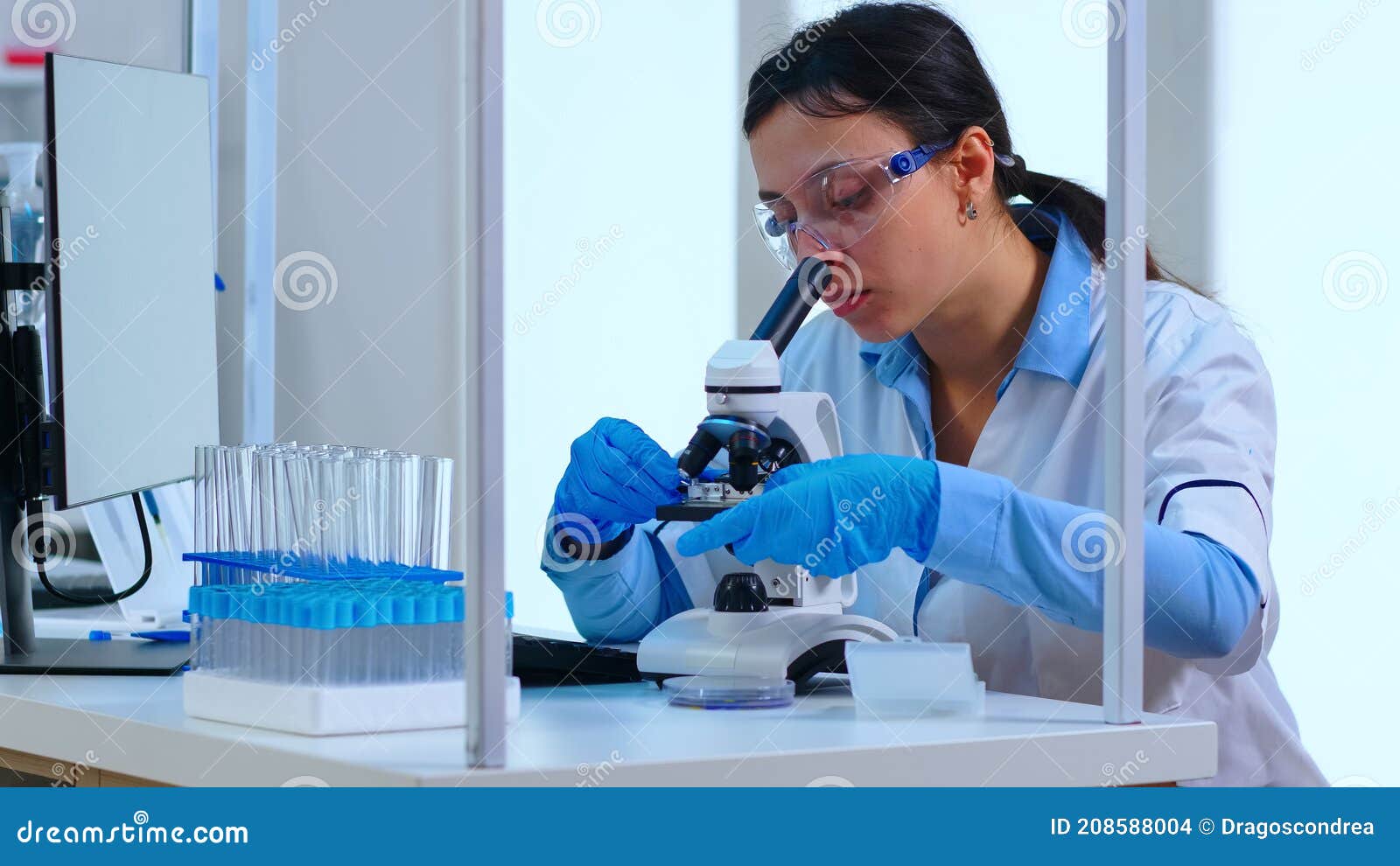Scientist Placing a Slide on Specimen Stage of a Laboratory Microscope ...