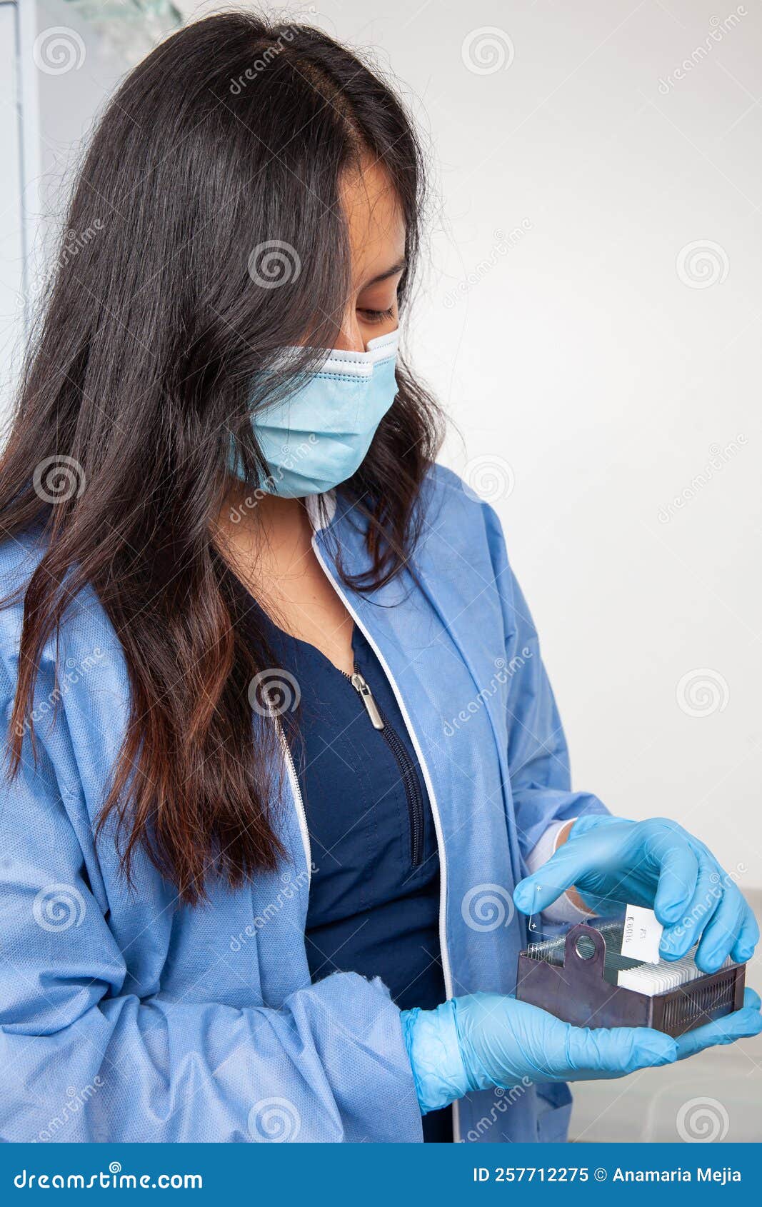 Scientist Placing Slides with Paraffin Embedded Tissue Samples into a ...