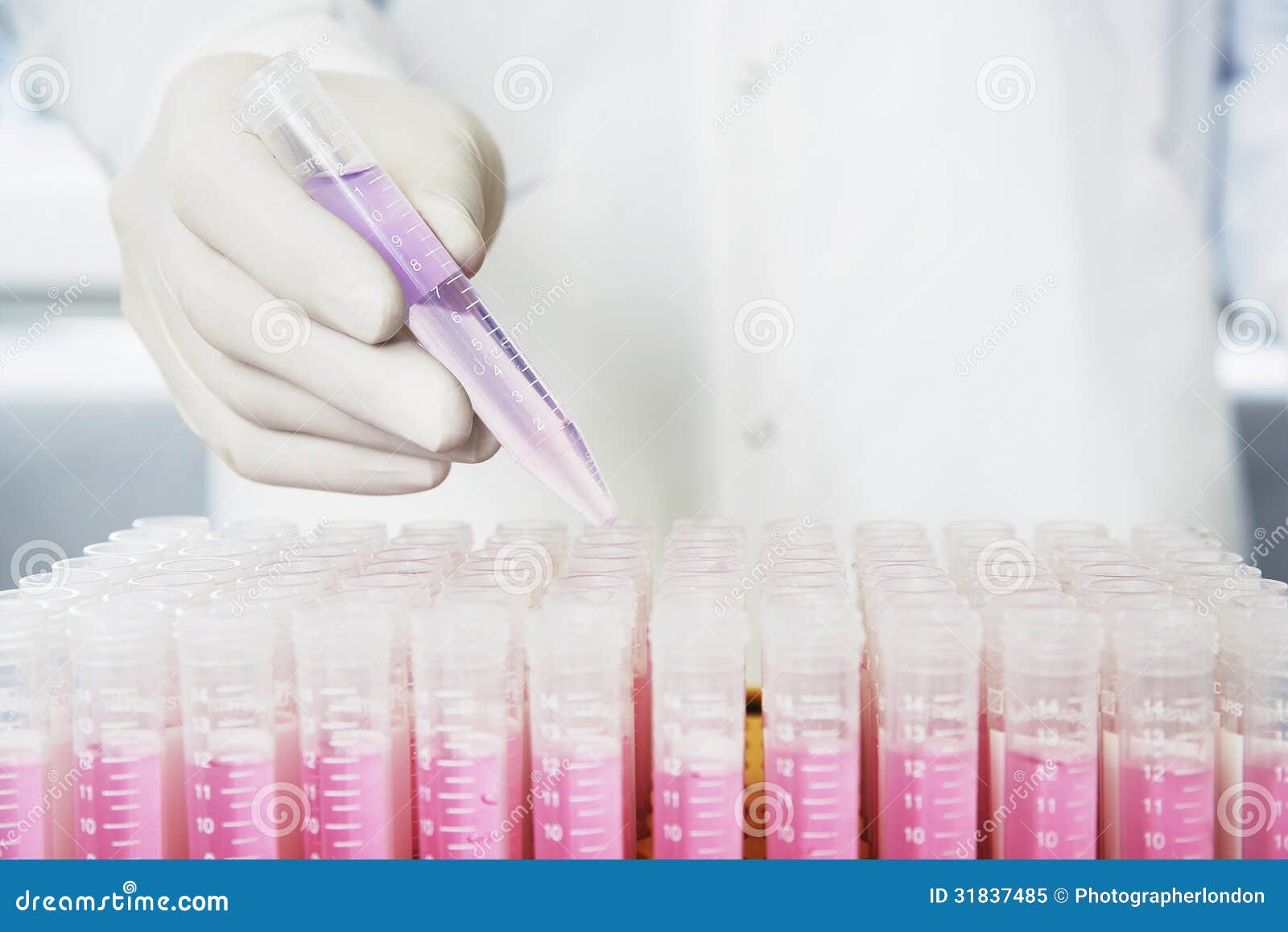 Scientist Placing Test Tube in Tray Stock Image - Image of biology ... Scientist Placing Test Tube in Tray Stock Image - Image of biology ...