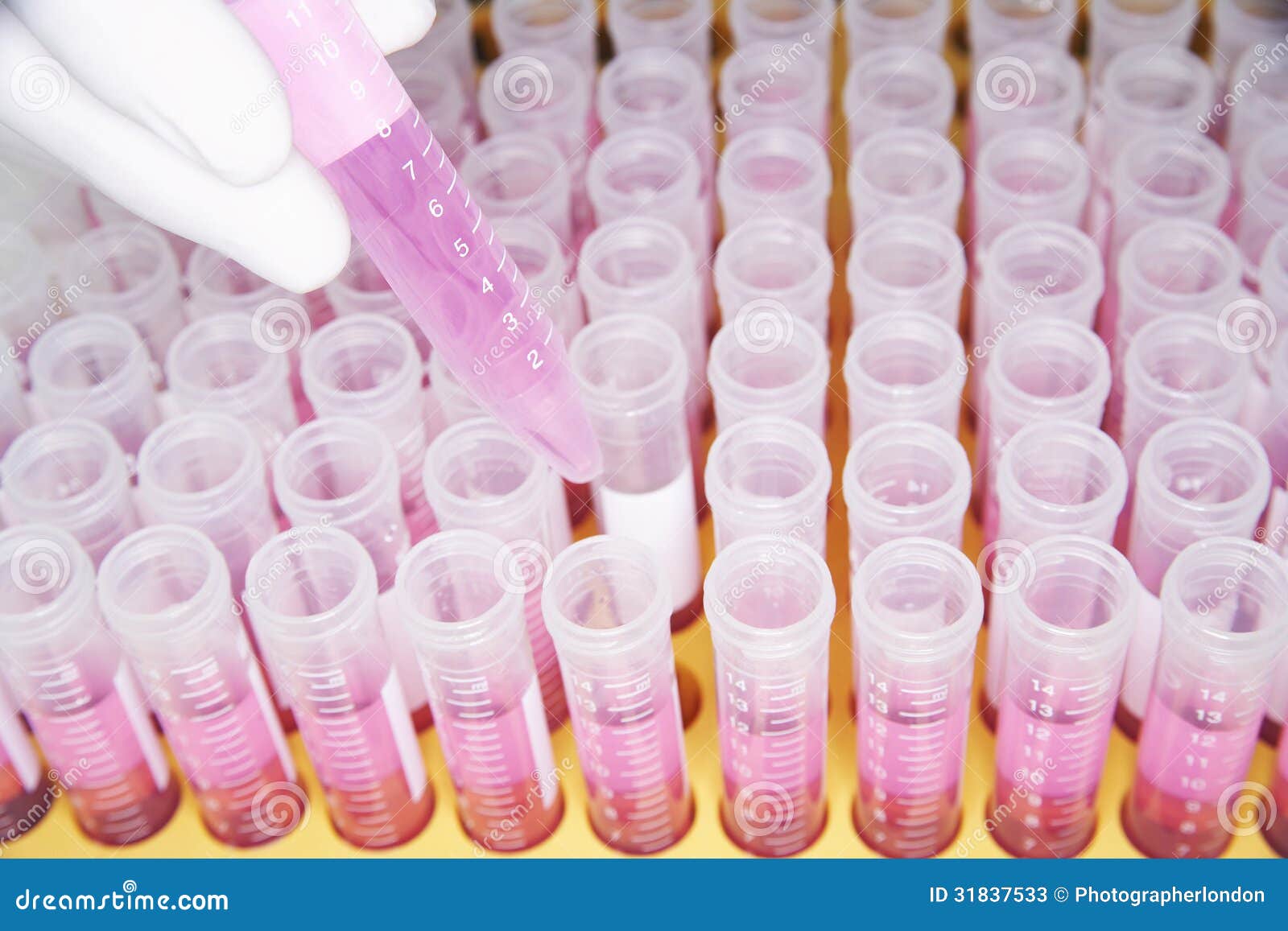 Scientist Placing Test Tube in Tray Stock Image - Image of experiment ... Scientist Placing Test Tube in Tray Stock Image - Image of experiment ...