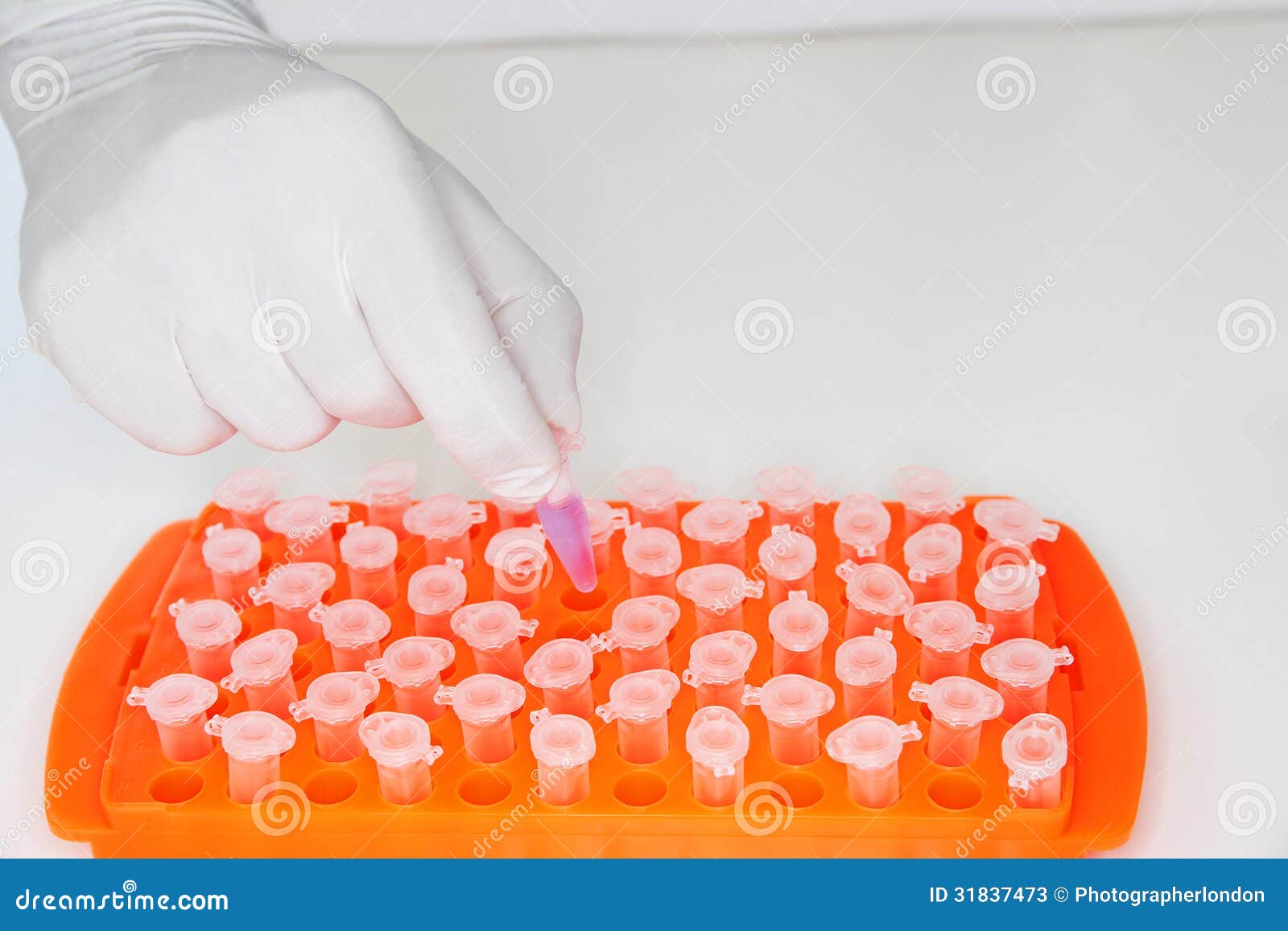 Scientist Placing Test Tube in Tray Stock Image - Image of copyspace ... Scientist Placing Test Tube in Tray Stock Image - Image of copyspace ...