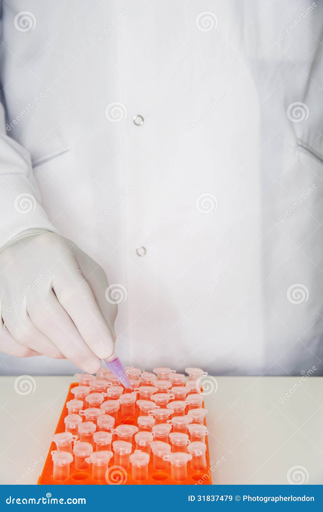 Scientist Placing Test Tube in Tray Stock Image - Image of coat ...