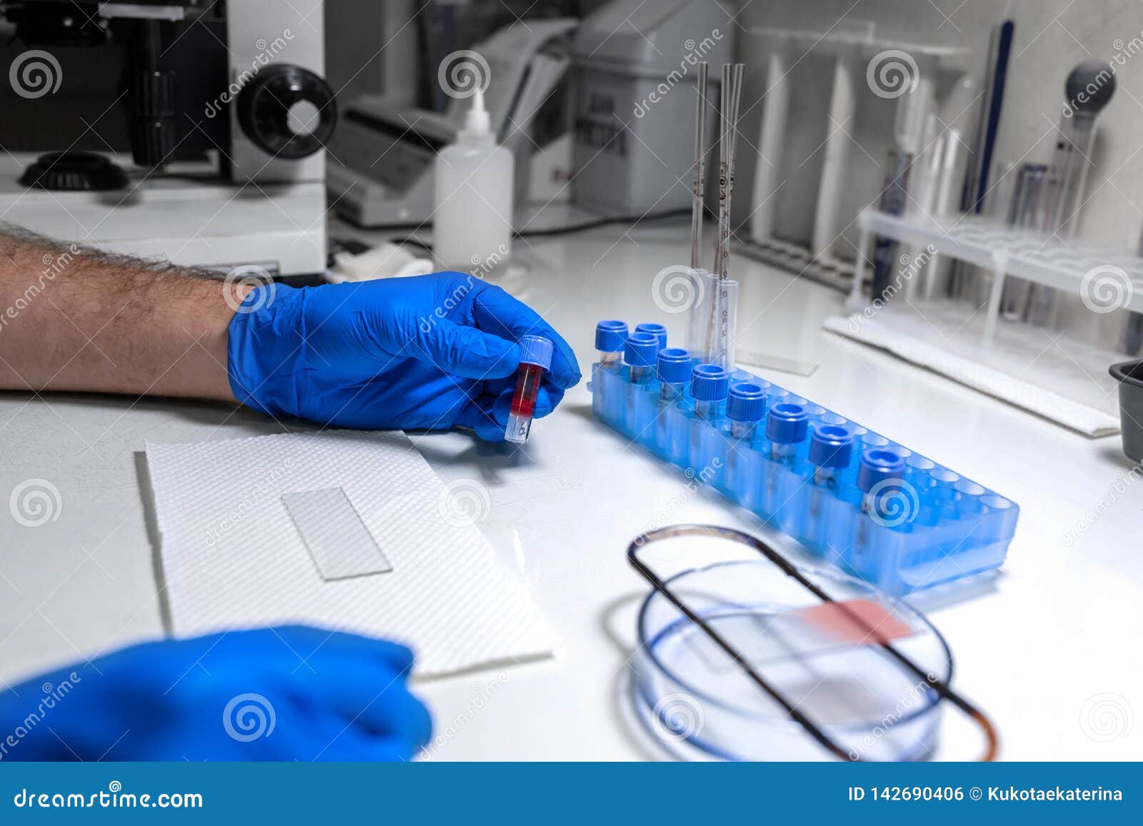 Scientist Prepare Blood Sample for Research on Microscope. Placing ...