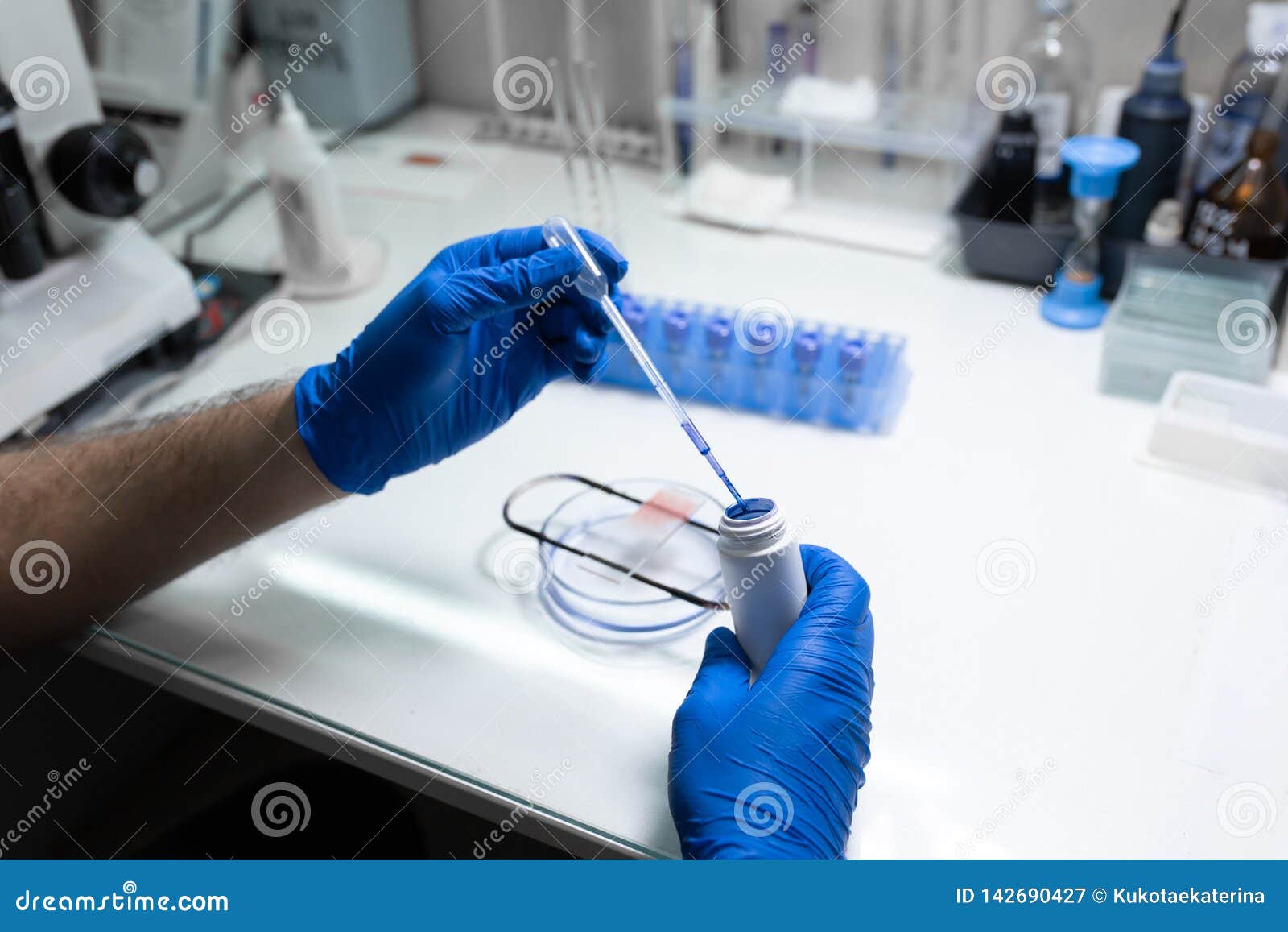 Scientist Prepare Blood Sample for Research on Microscope. Placing ...