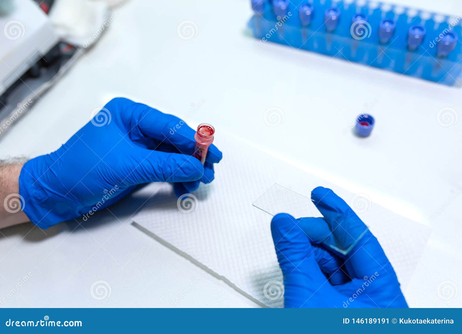 Scientist Prepare Blood Sample for Research on Microscope. Placing ...