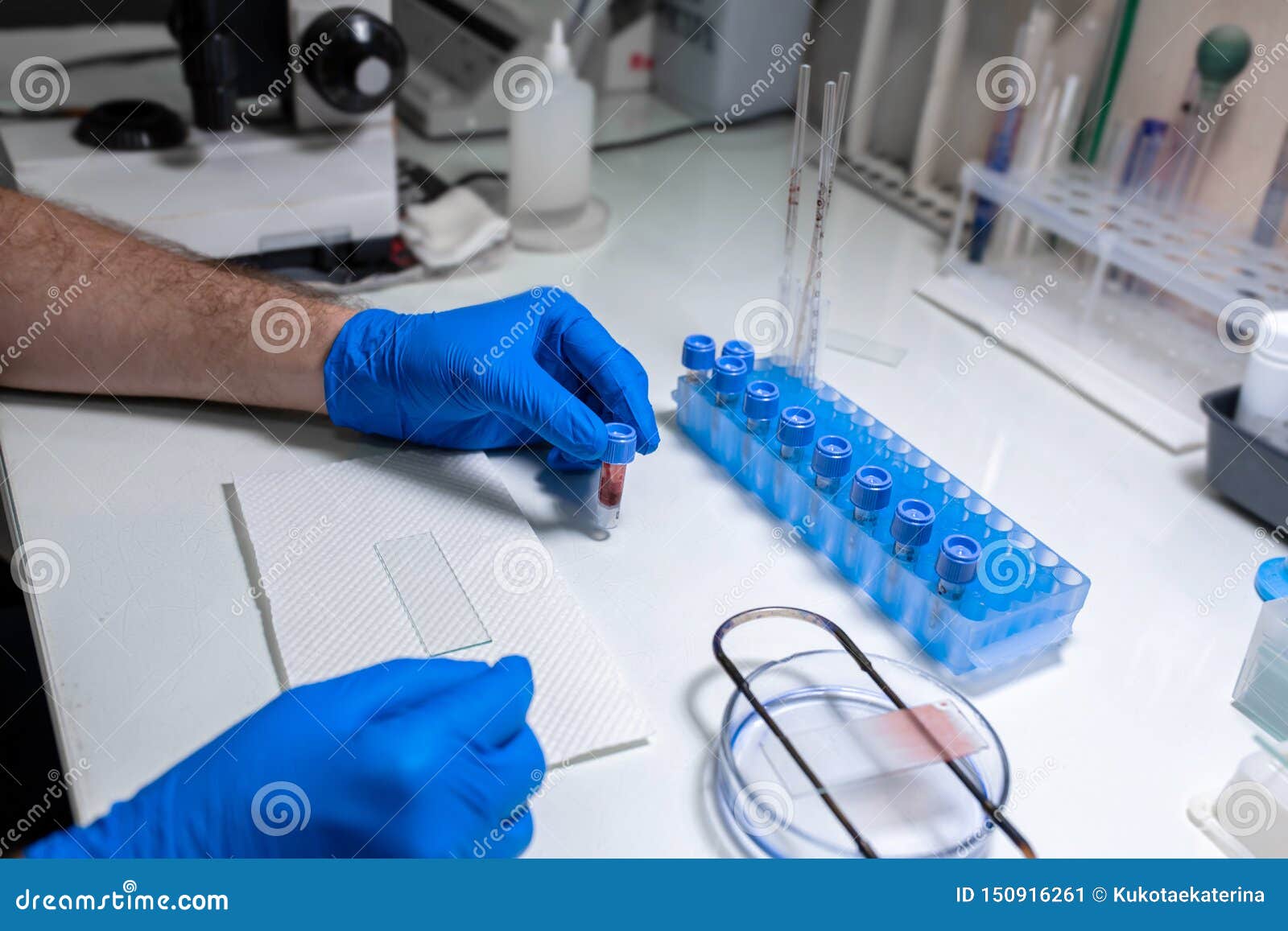 Scientist Prepare Blood Sample for Research on Microscope. Placing ...