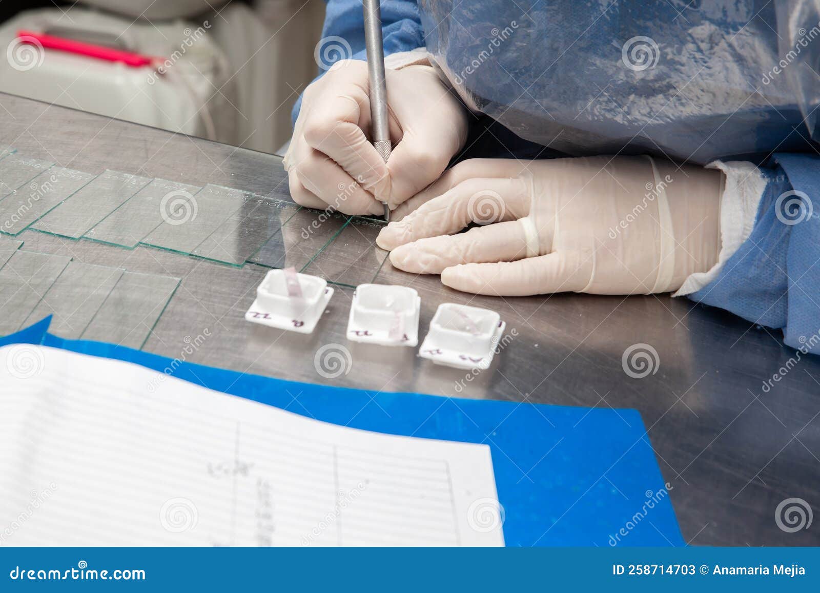 Scientist Preparing Paraffin Blocks Containing Biopsy Tissue for ... Scientist Preparing Paraffin Blocks Containing Biopsy Tissue for ...