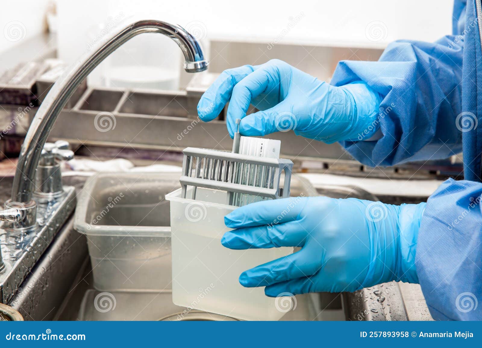 Scientist Preparing Slides with Paraffin Embedded Tissue Samples for ...