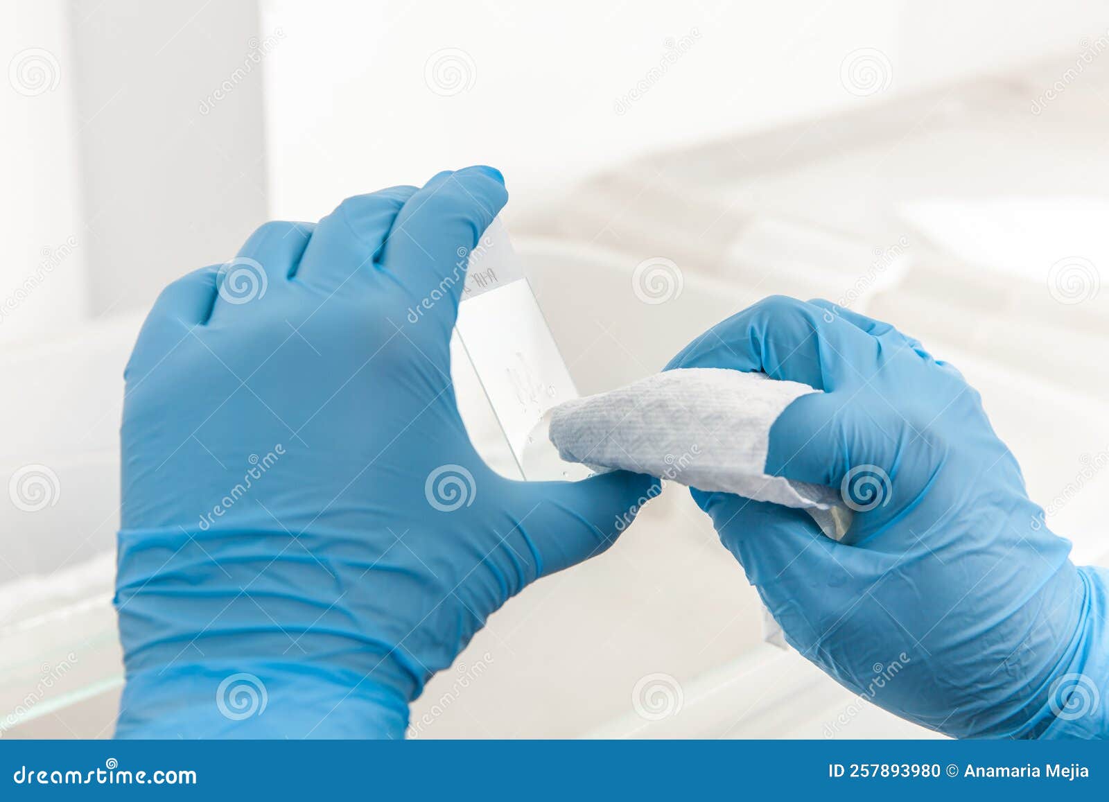 Scientist Preparing Slides with Paraffin Embedded Tissue Samples for ...