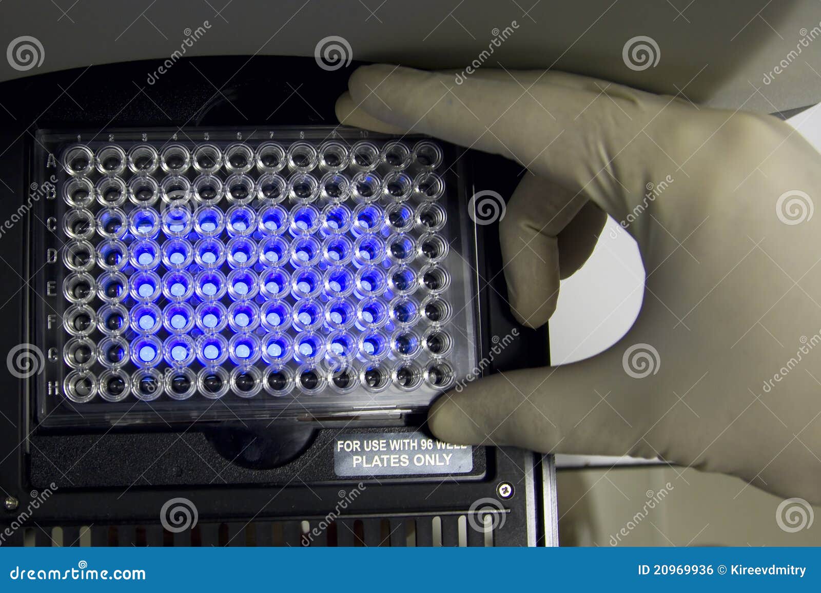 Scientist With DNA Sequencing Chip. Medical Laboratory. Stock Photo ...