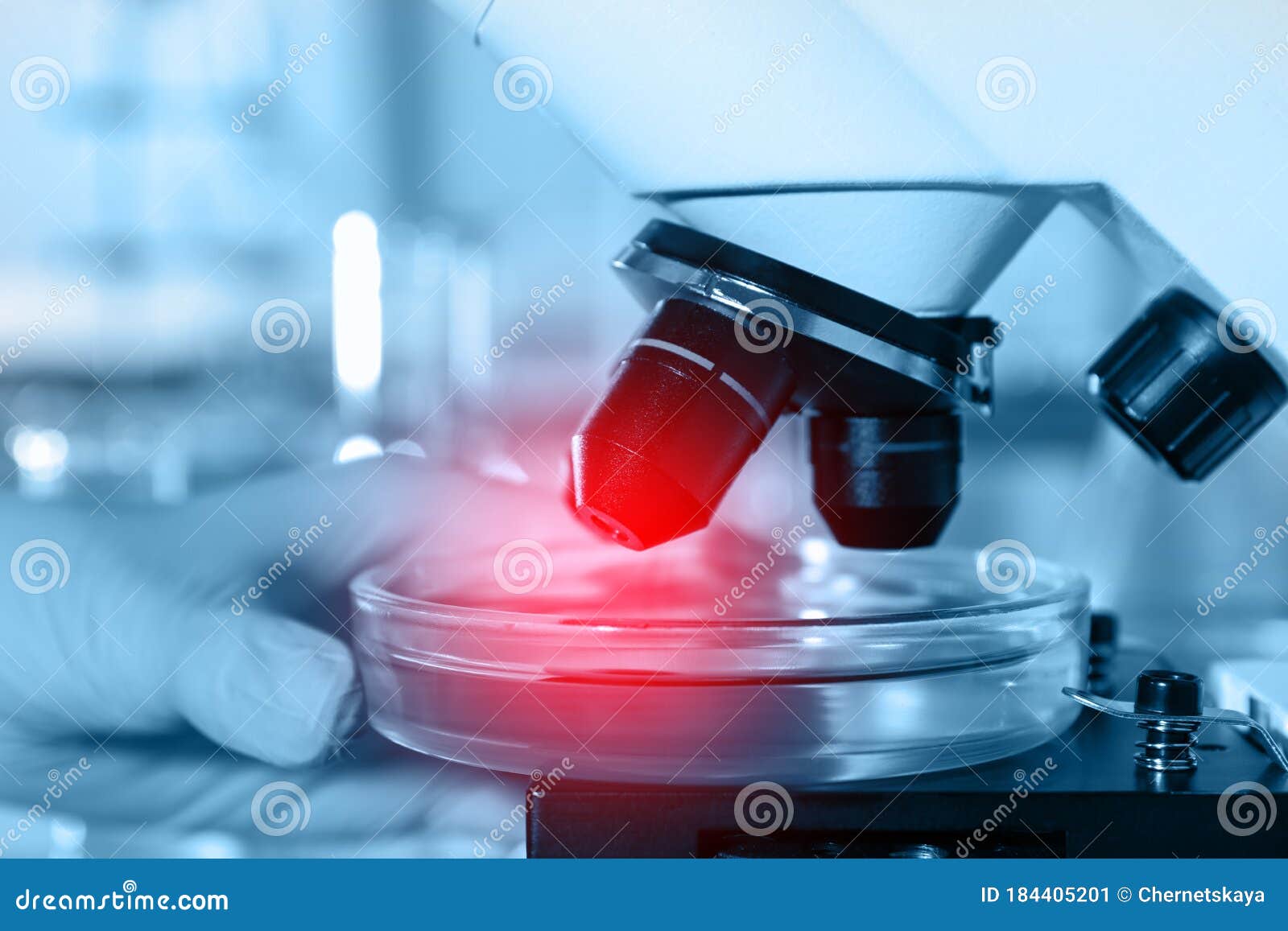 Scientist Putting Sample Compartment With Liquid In Spectrophotometer ...