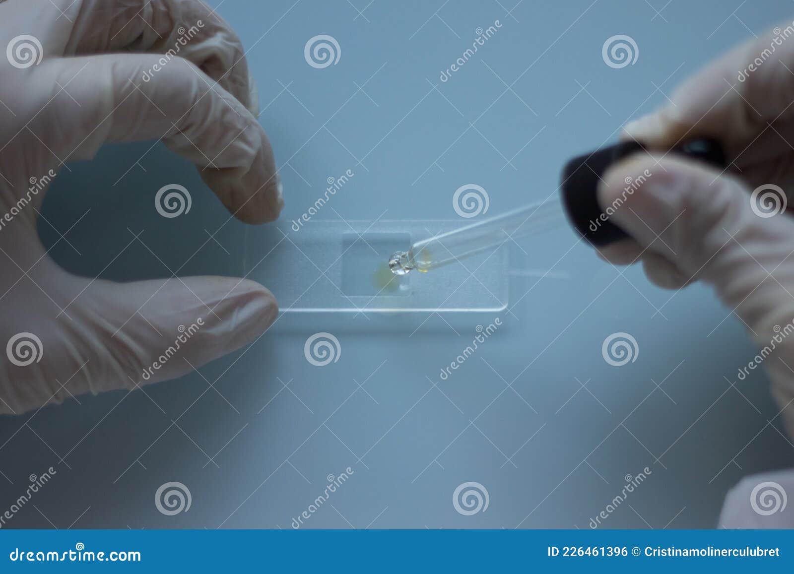 Scientist Putting Sample Compartment With Liquid In Spectrophotometer ...