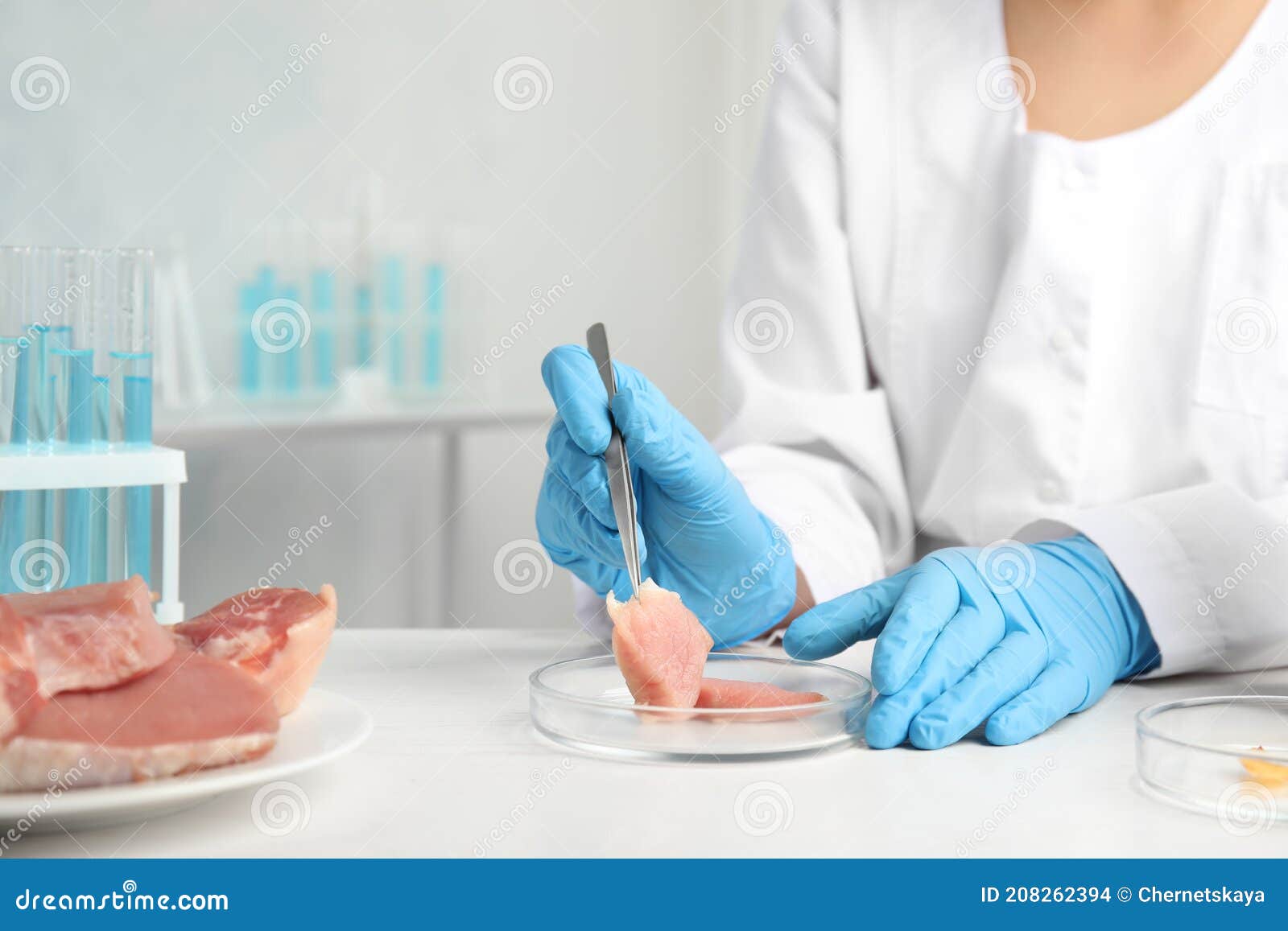 Scientist with Raw Meat at Table in Laboratory, Closeup. Poison ...