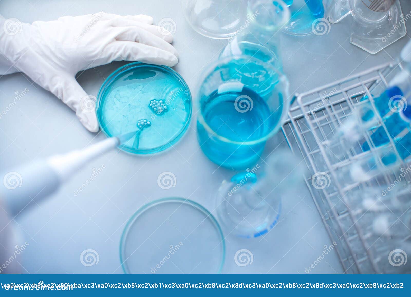 Scientist Research Chemistry at Science Lab Stock Image - Image of ...