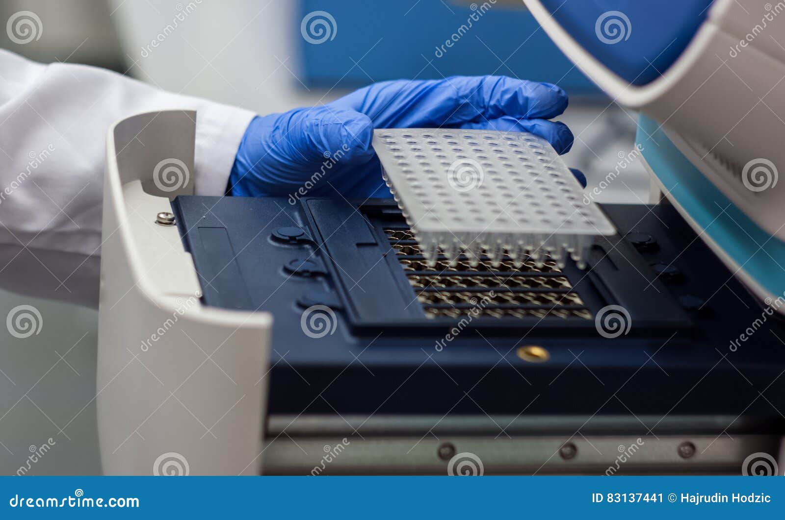 Scientist or Researcher or Phd Student Put Dna Samples into Pcr Stock ...