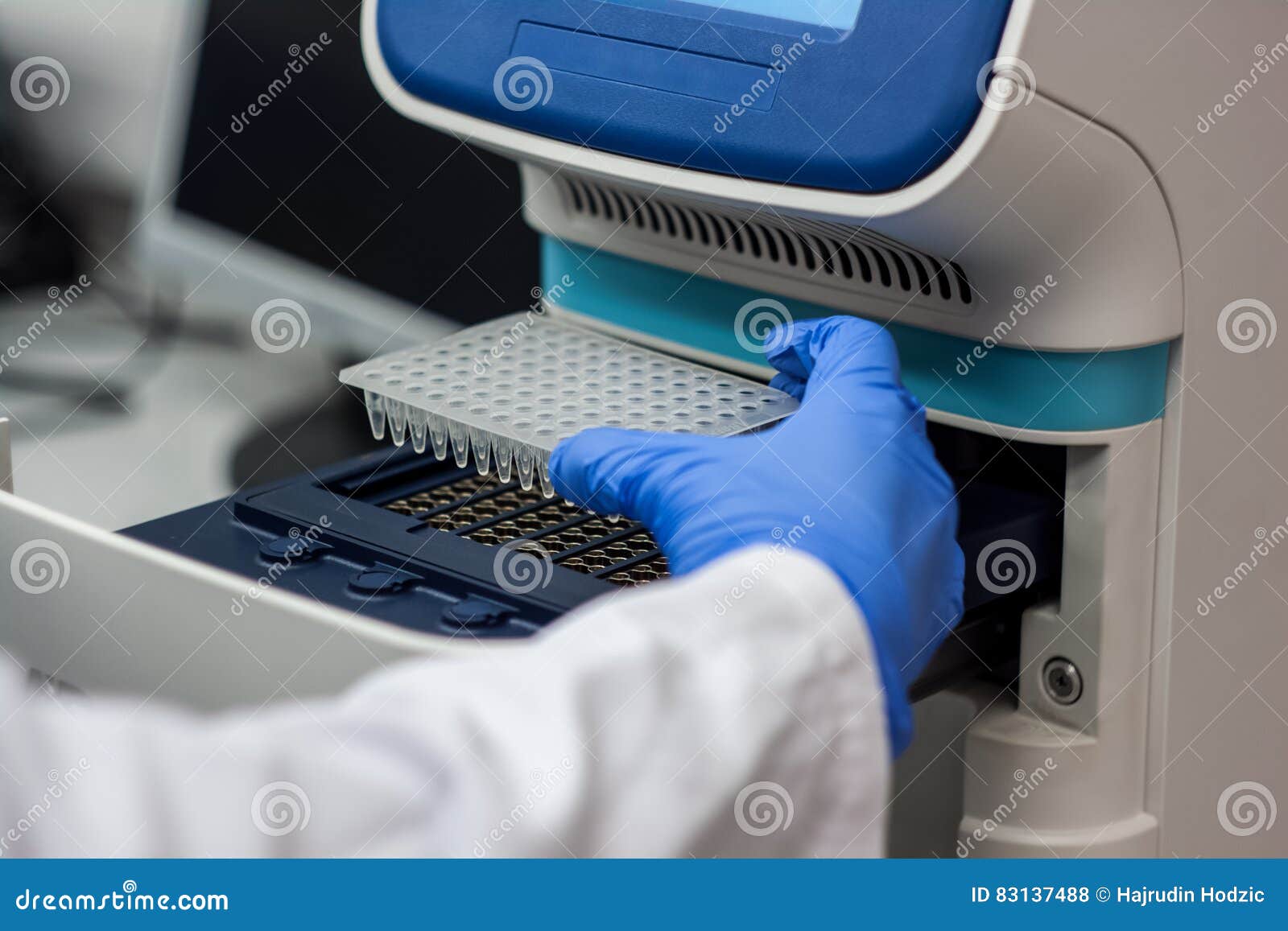 Scientist or Researcher or Phd Student Put Dna Samples into Pcr Stock ...