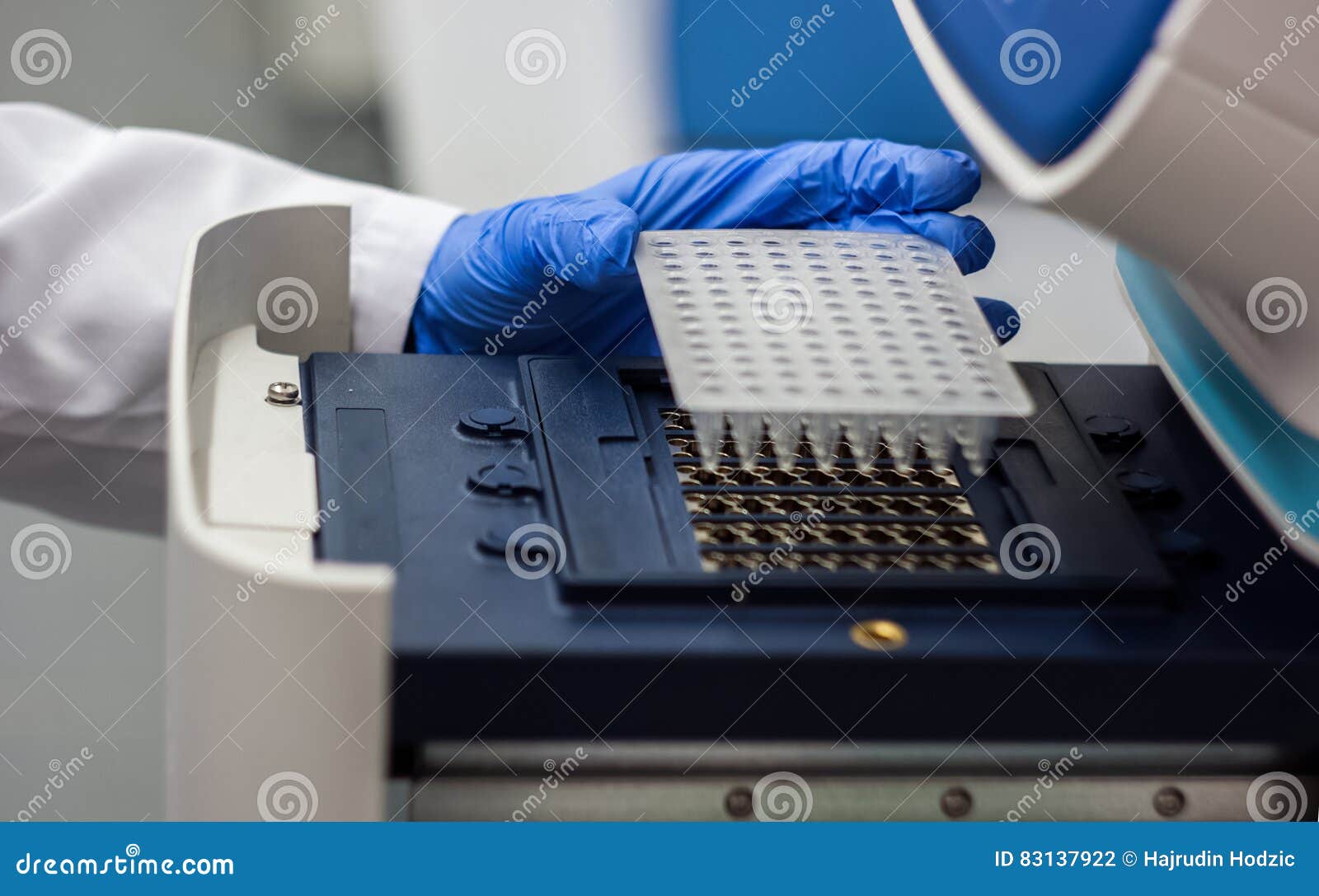 Scientist or Researcher or Phd Student Put Dna Samples into Pcr Stock ...