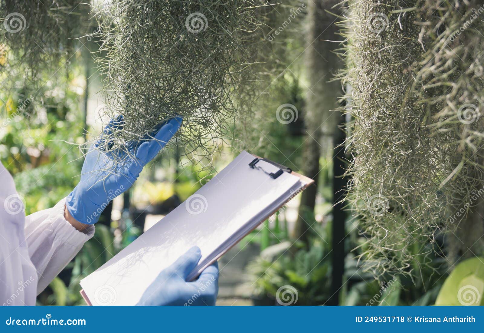 Scientist Researching on Plants. Agricultural Engineer Test Health and ...