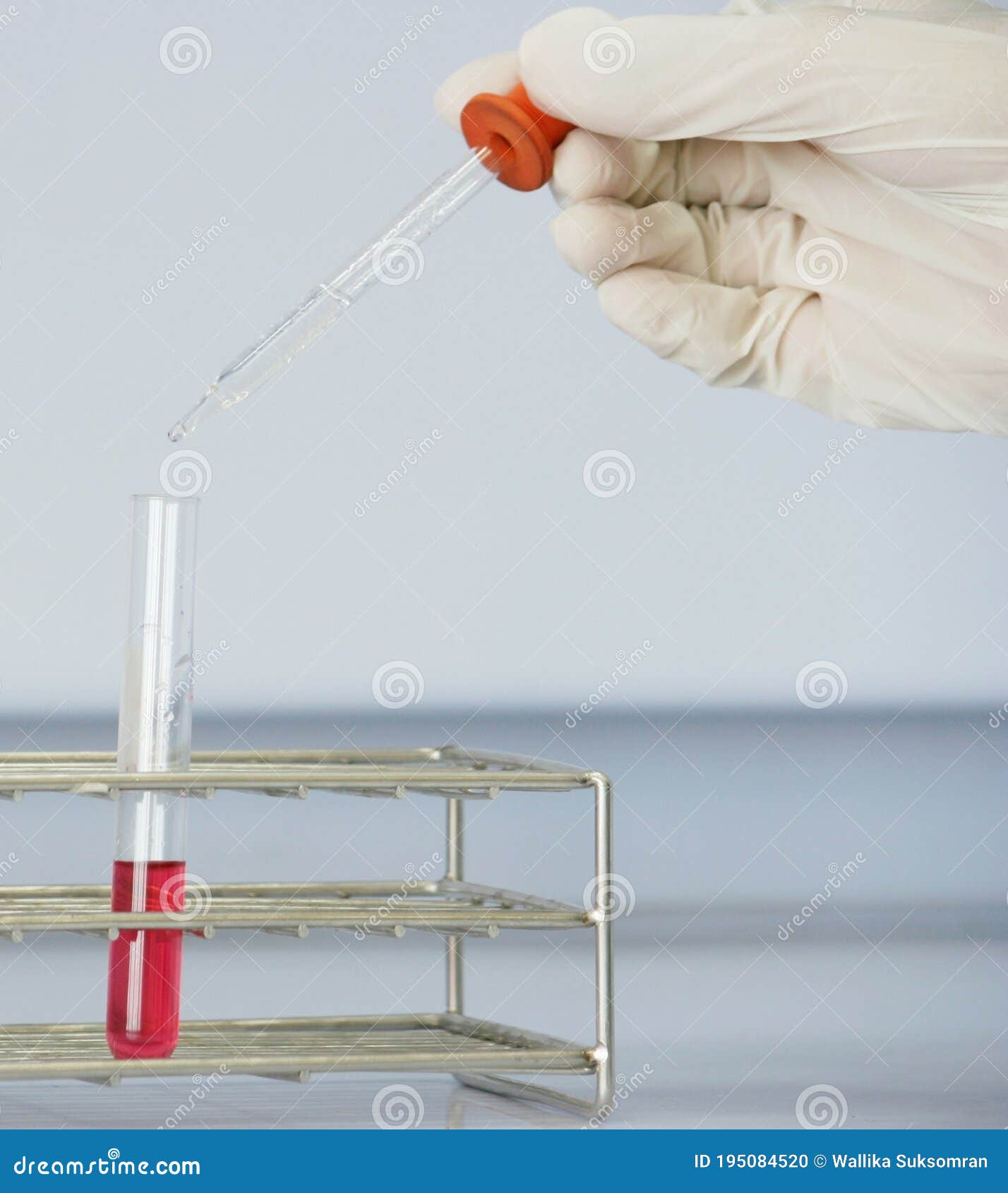 Scientist`s Hand Dropping the Reagent into the Red Solution in a Test ...