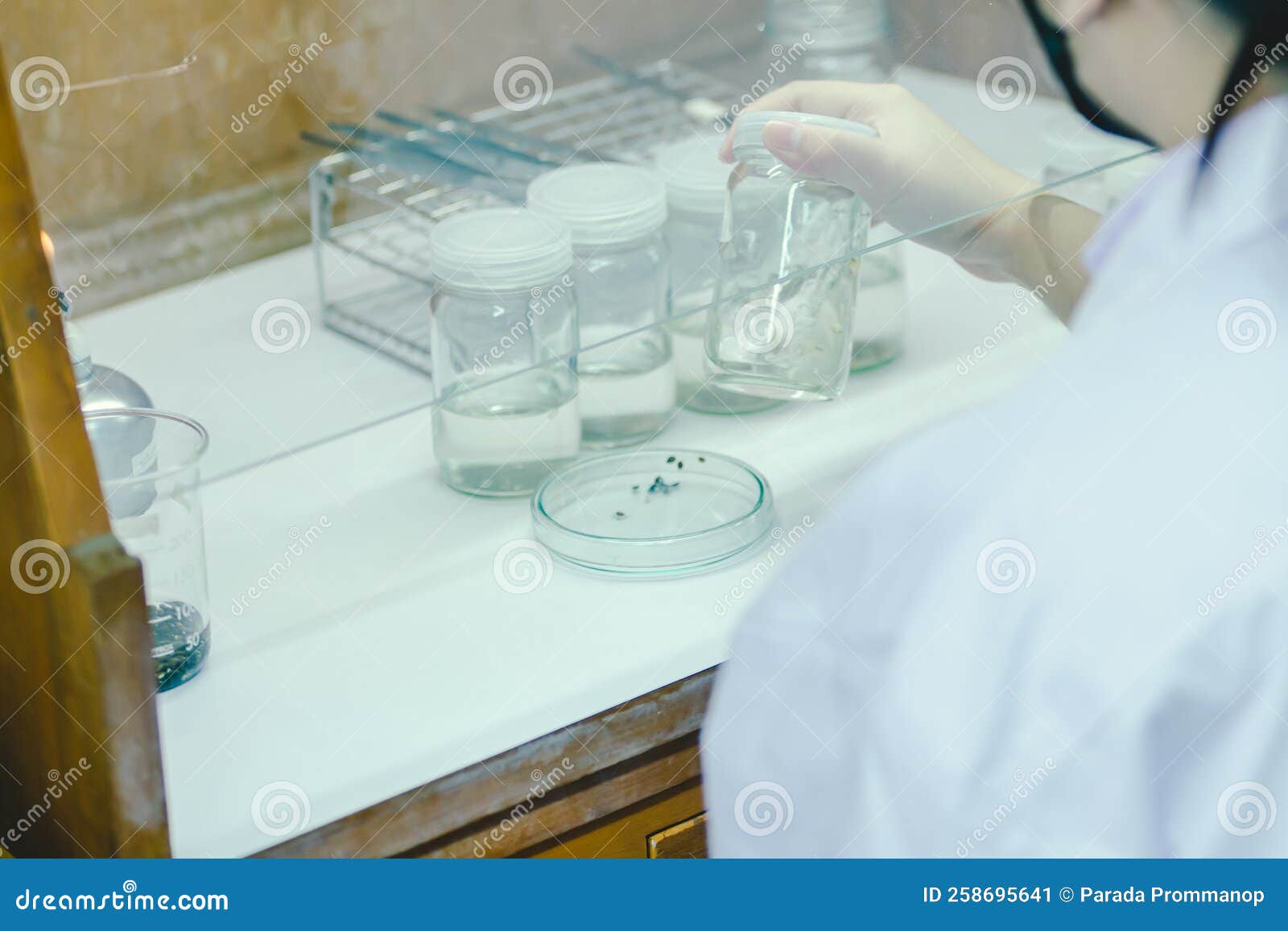 The Scientist`s Hands Pouring Solvent into the Bottles. Stock Image ...