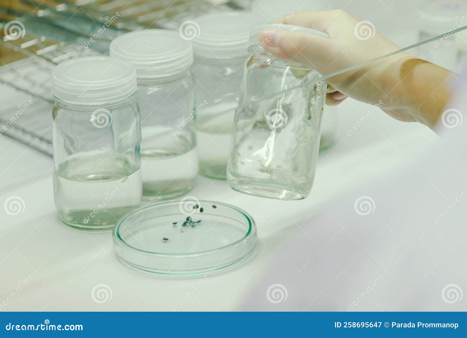 The Scientist`s Hands Pouring Solvent into the Bottles. Stock Image ...