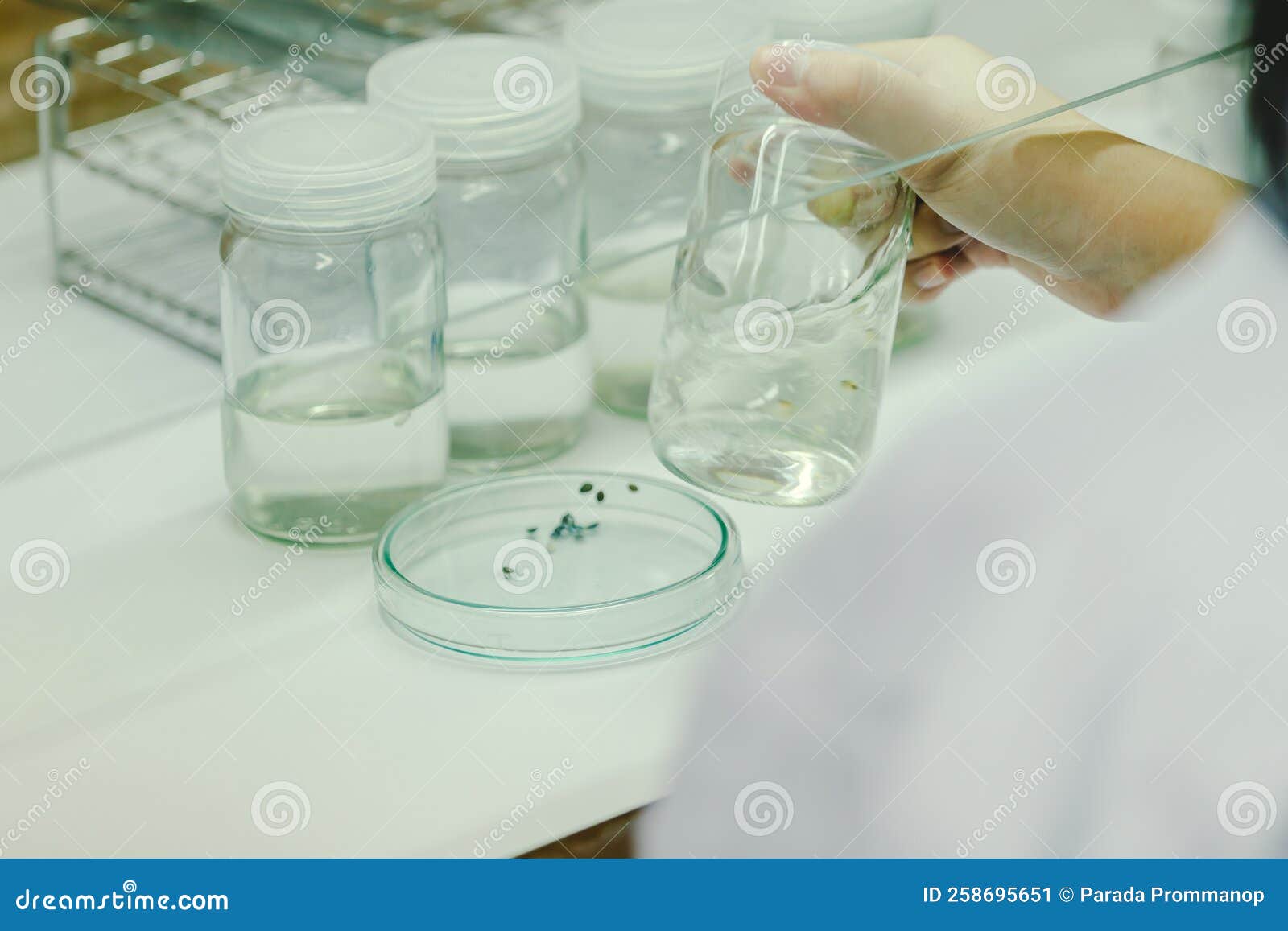 The Scientist`s Hands Pouring Solvent into the Bottles. Stock Image ...