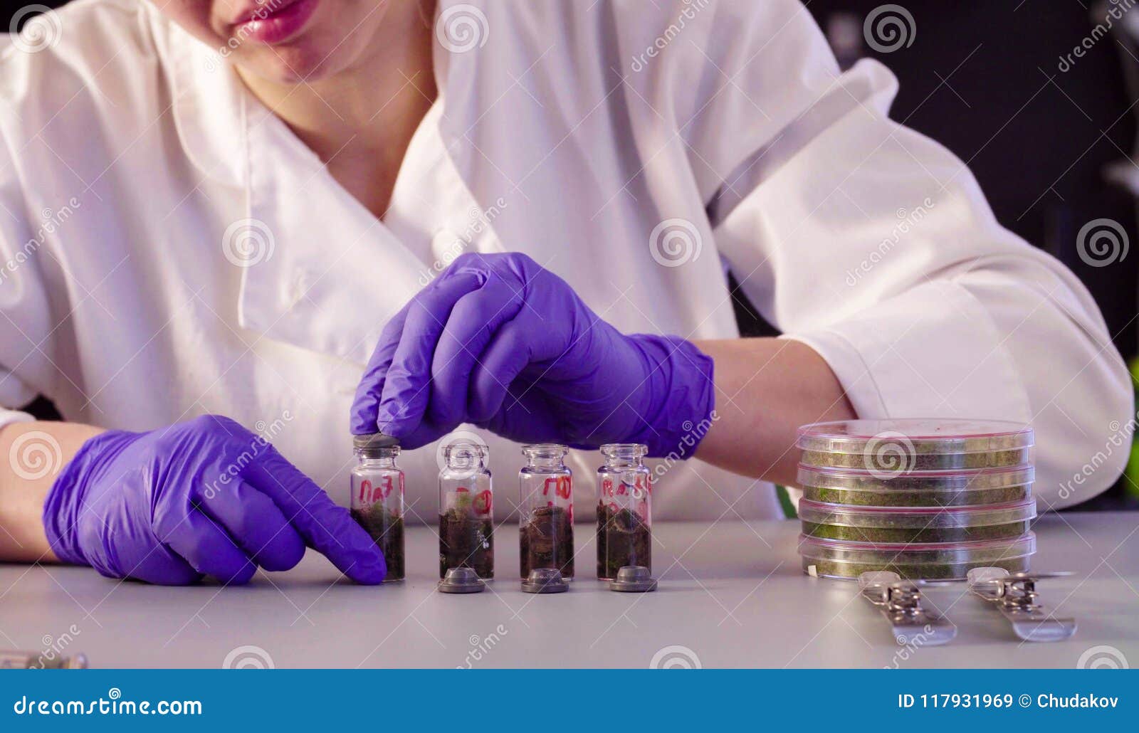 The Scientist`s Hands Pouring Solvent into the Bottles Stock Image ...