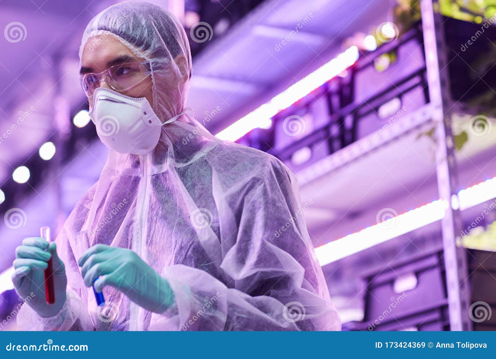 Scientist with Samples in the Lab Stock Image - Image of research ...