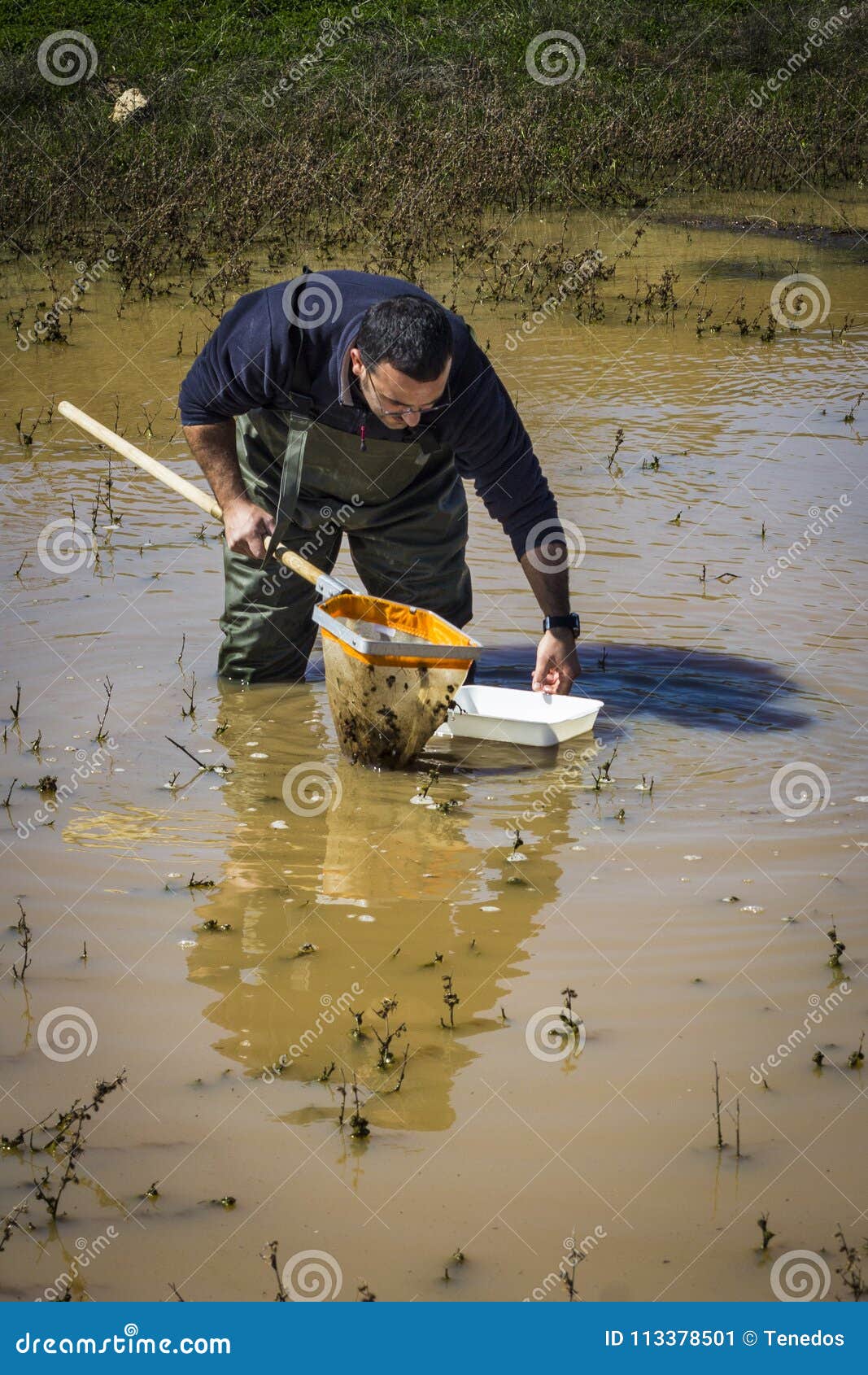 Plankton Net Sampling Phytoplankton Royalty-Free Stock Image ...