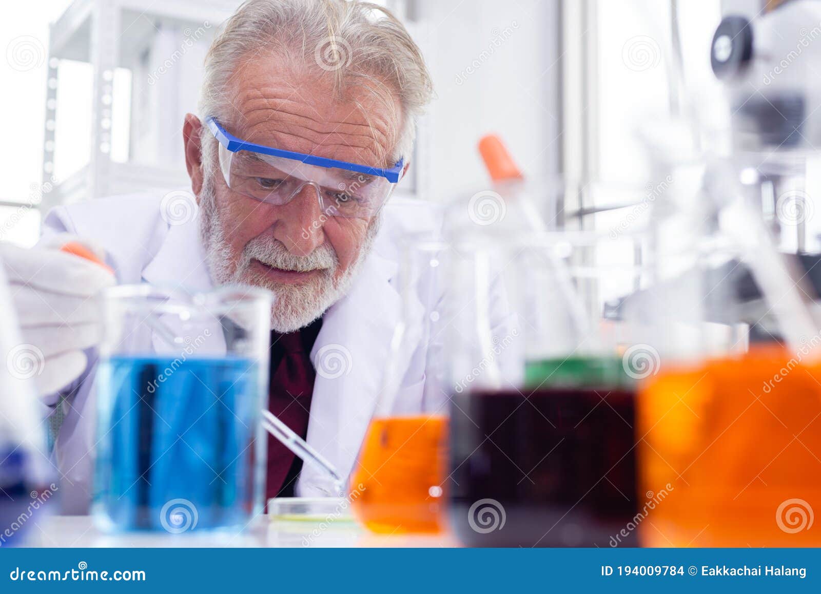 Scientist Senior Test Sample Chemical Glass Plate in Laboratory, S ...