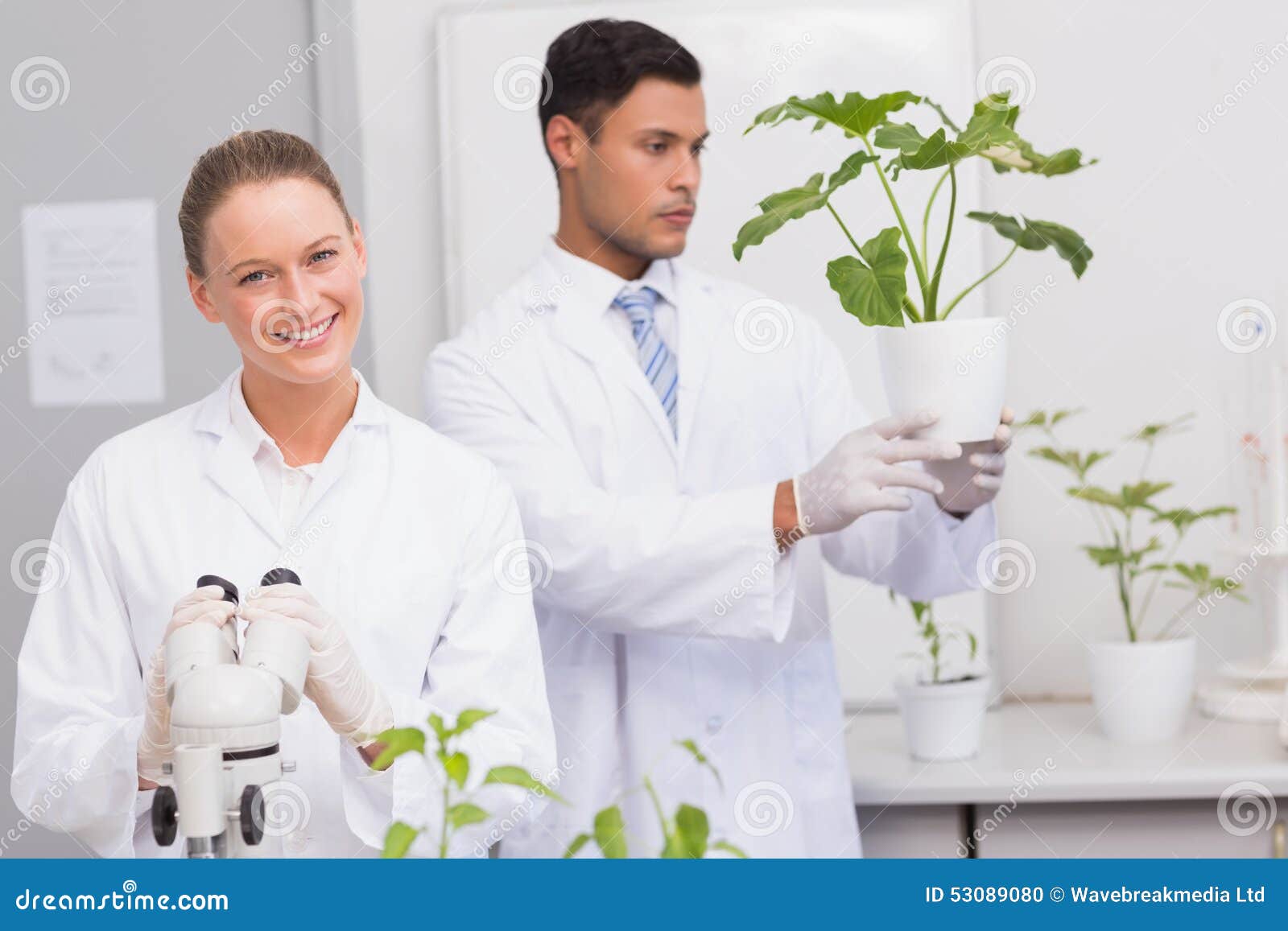 Scientist Smiling at Camera while Colleague Looking at Plant Stock ...