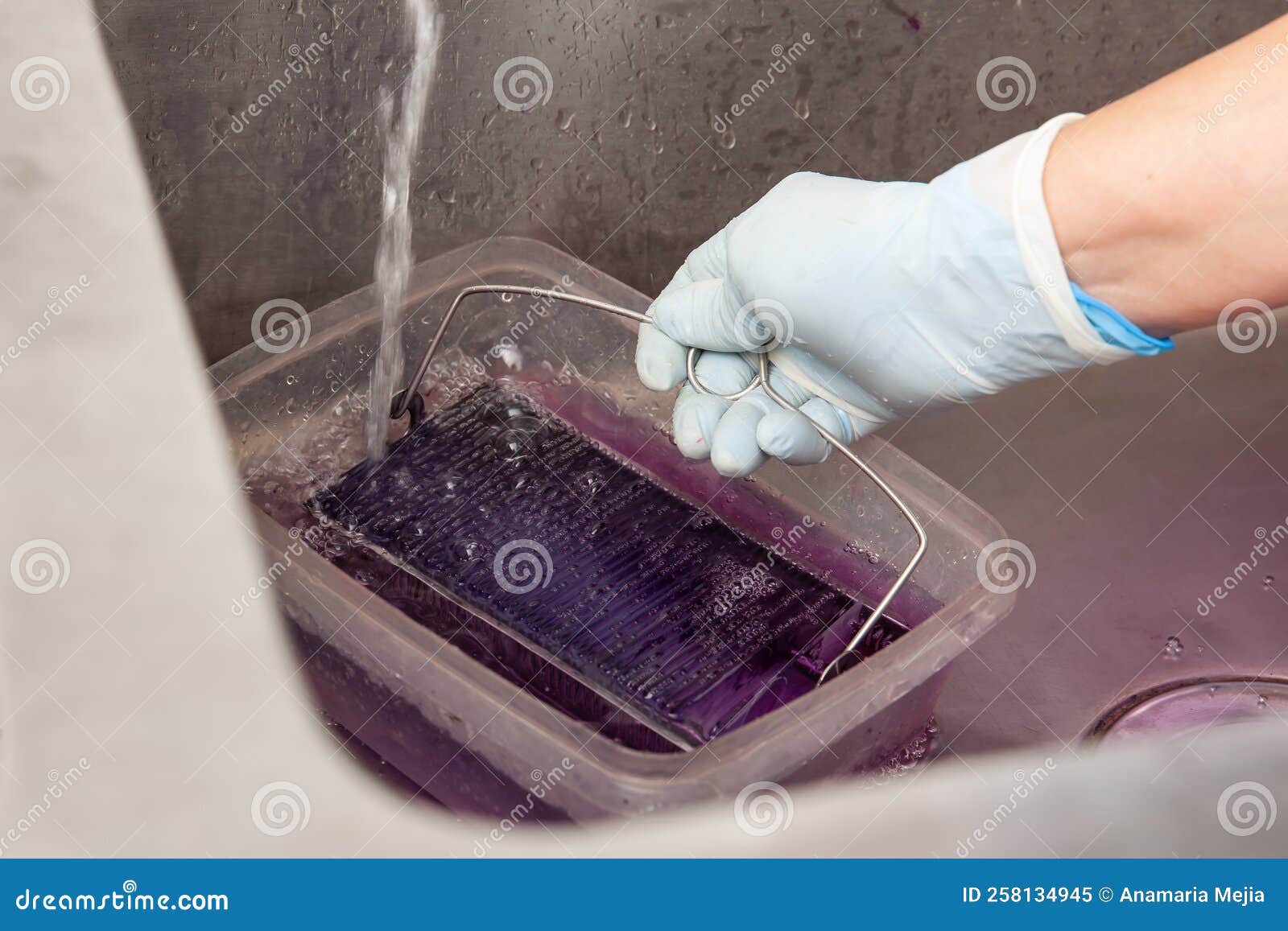 Scientist Staining Microscope Slides for Cytology Studies in the ...