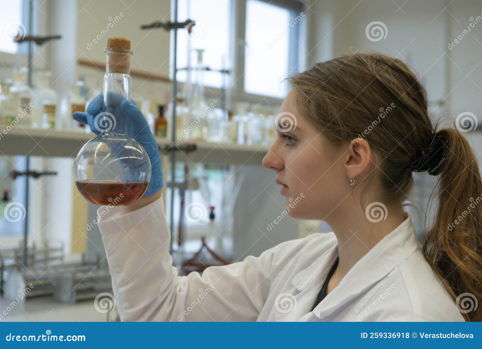Scientist Student are Working in Laboratory Stock Photo - Image of ...