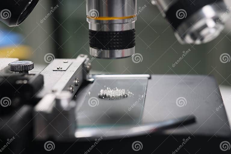 Scientist Studies Sugar Crystals Under Electronic Microscope Stock ...