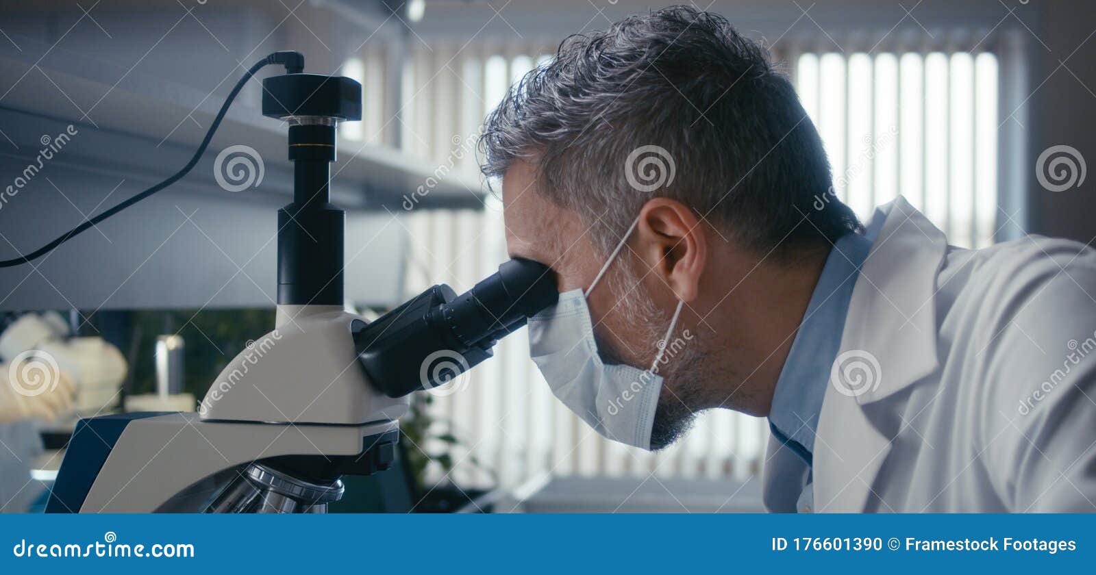 Scientist Studying Sample in Microscope Stock Photo - Image of ...