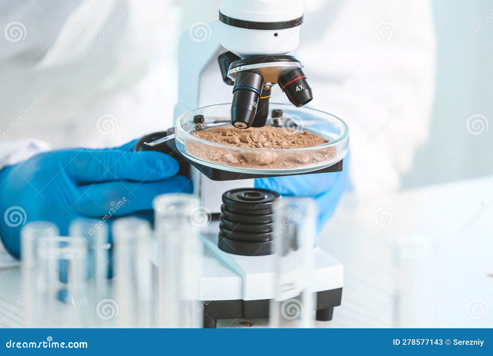 Scientist Studying Samples of Soil in Laboratory Stock Image - Image of ...